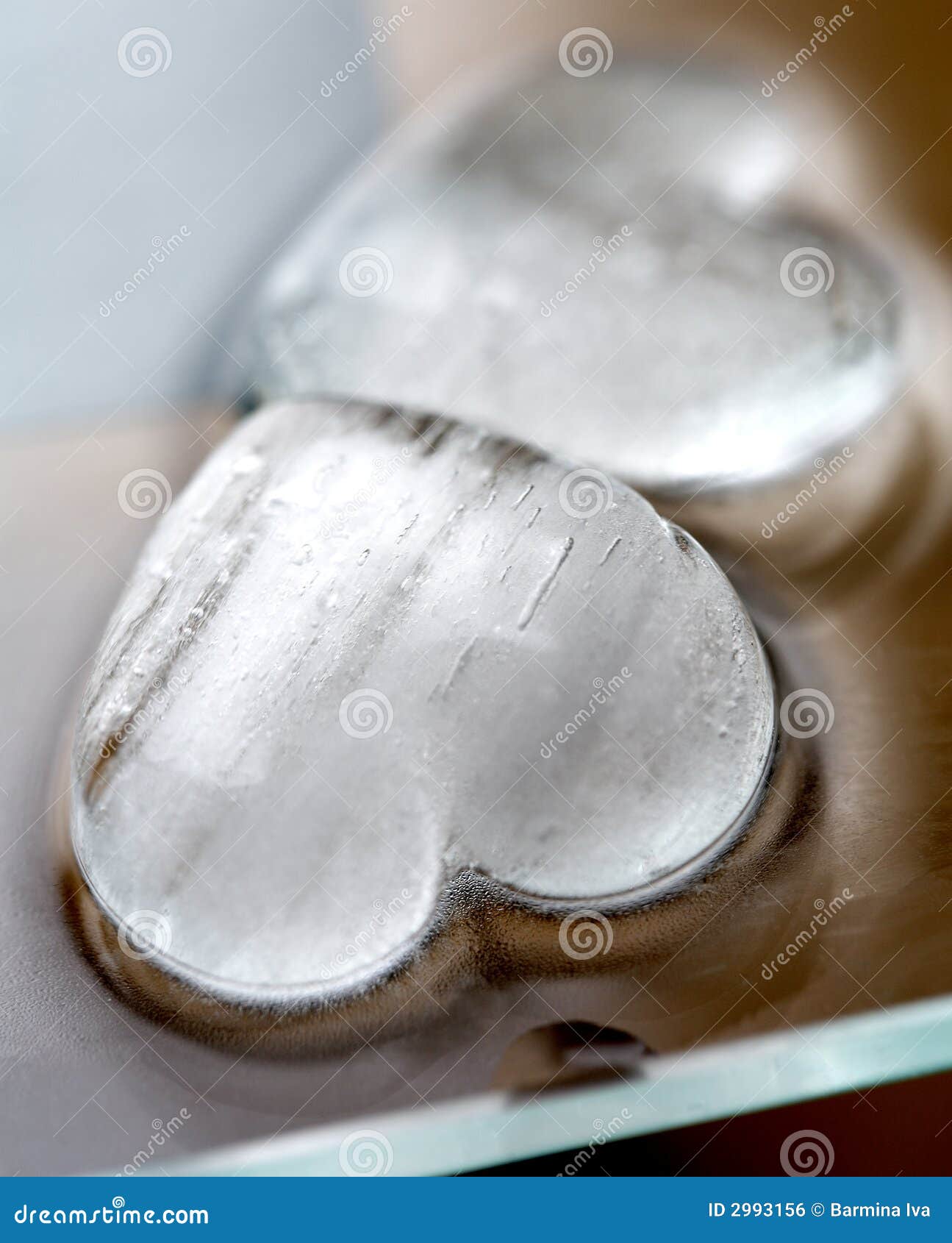 Ice hearts stock photo. Image of party, love, cocktail - 2993156