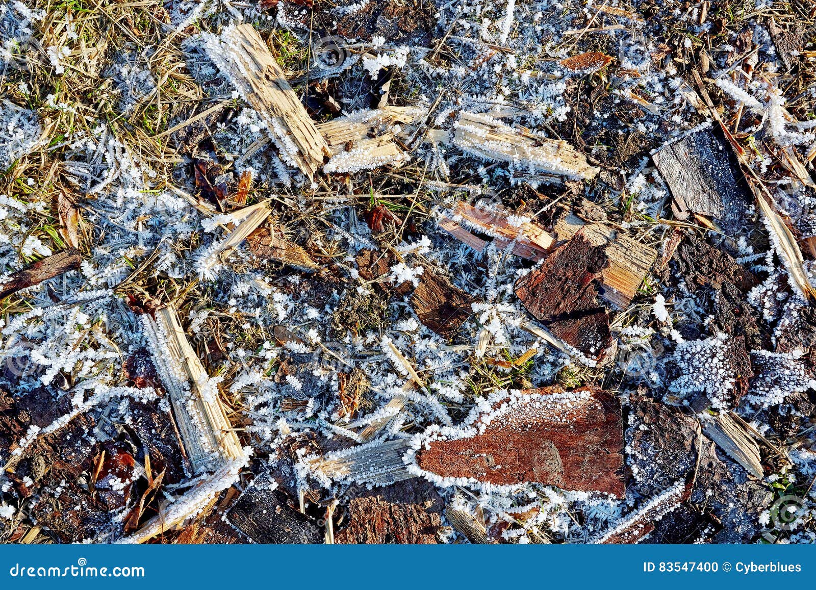 Ice, Hoarfrost, Splinter, Grass on Frozen Ground Stock Photo - Image of ...