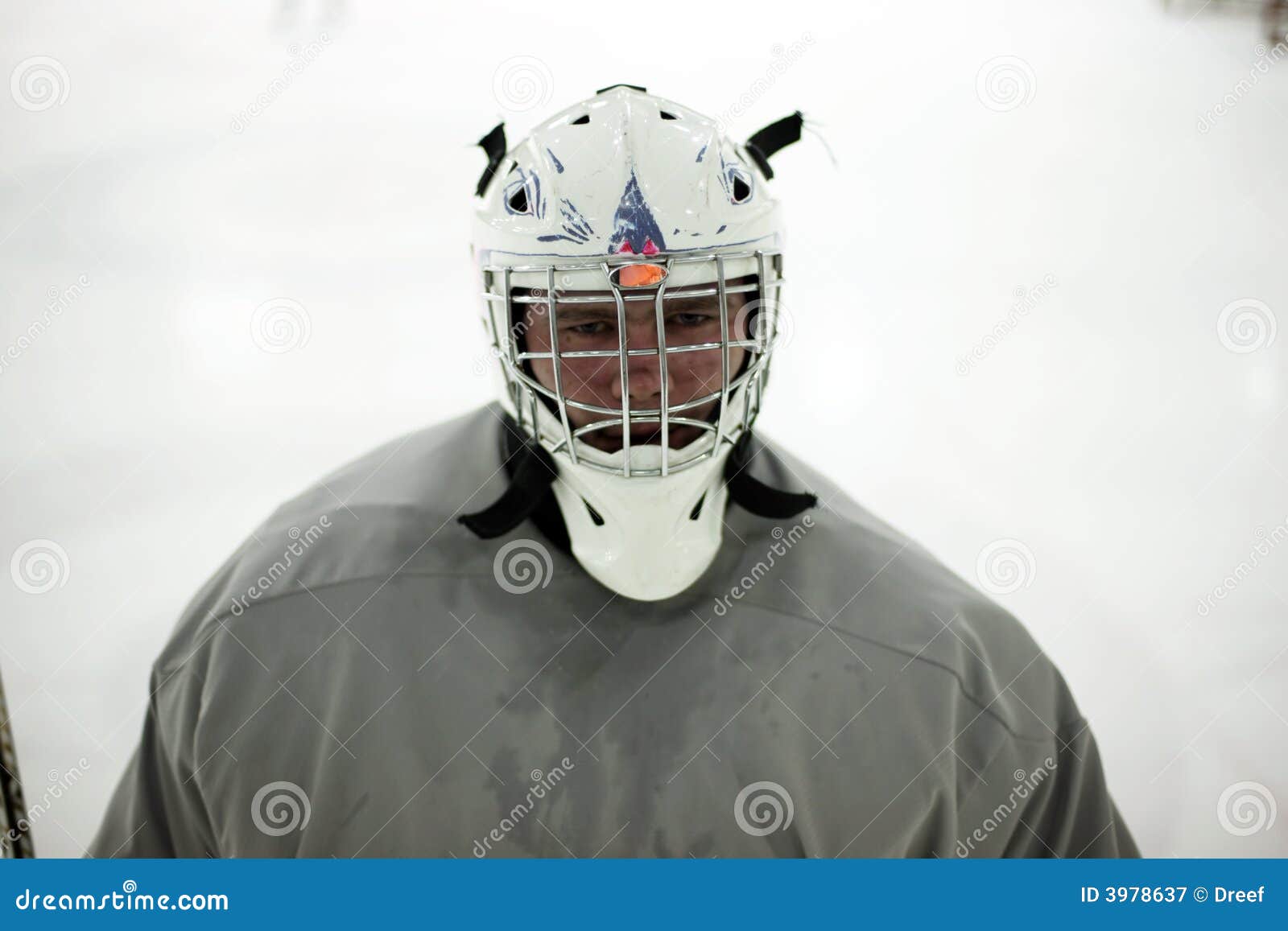 Ice-hoceky player stock image. Image of glove, leisure - 3978637
