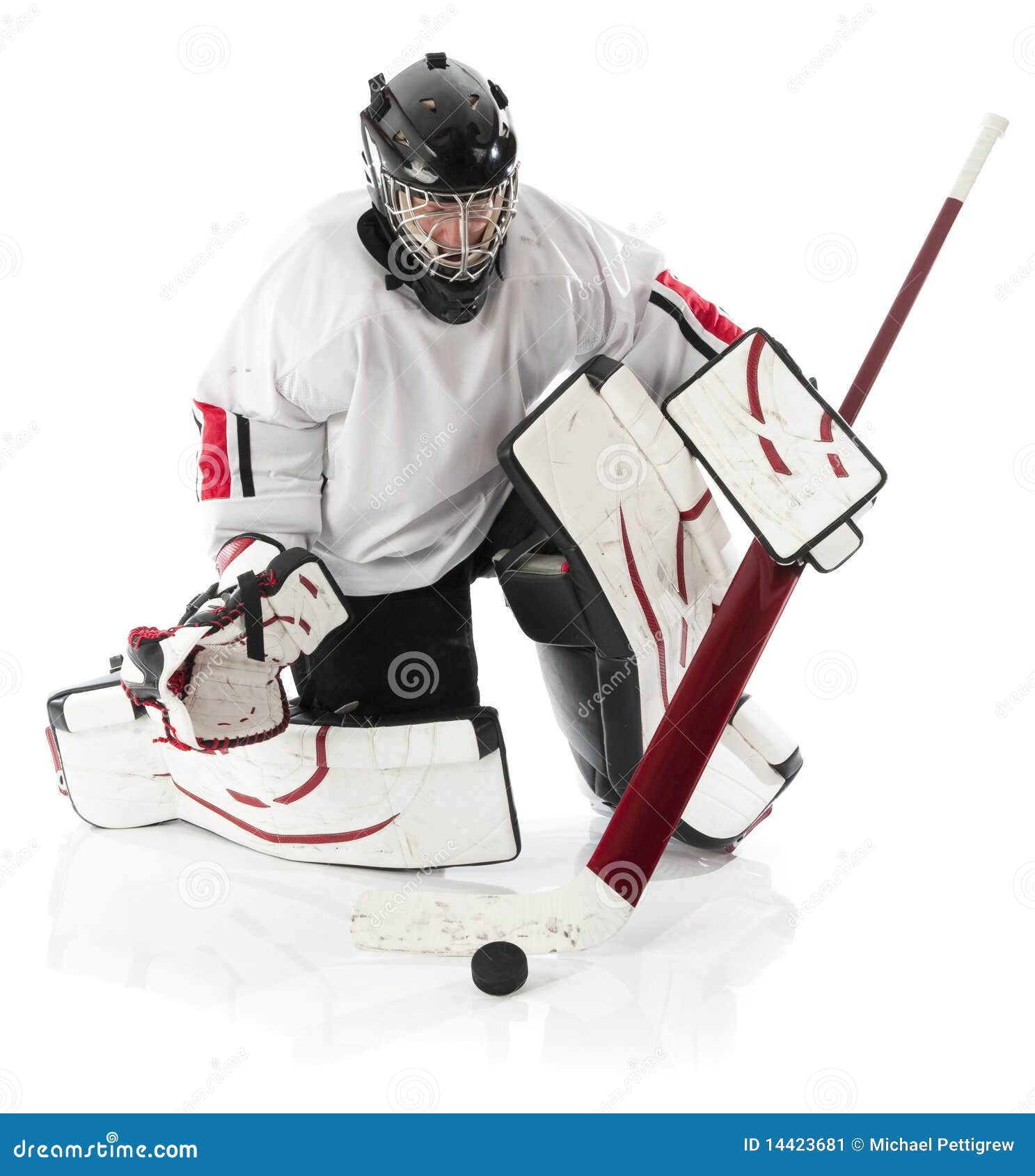 Ice hockey goalie stock image. Image of stick, hockey - 14423681