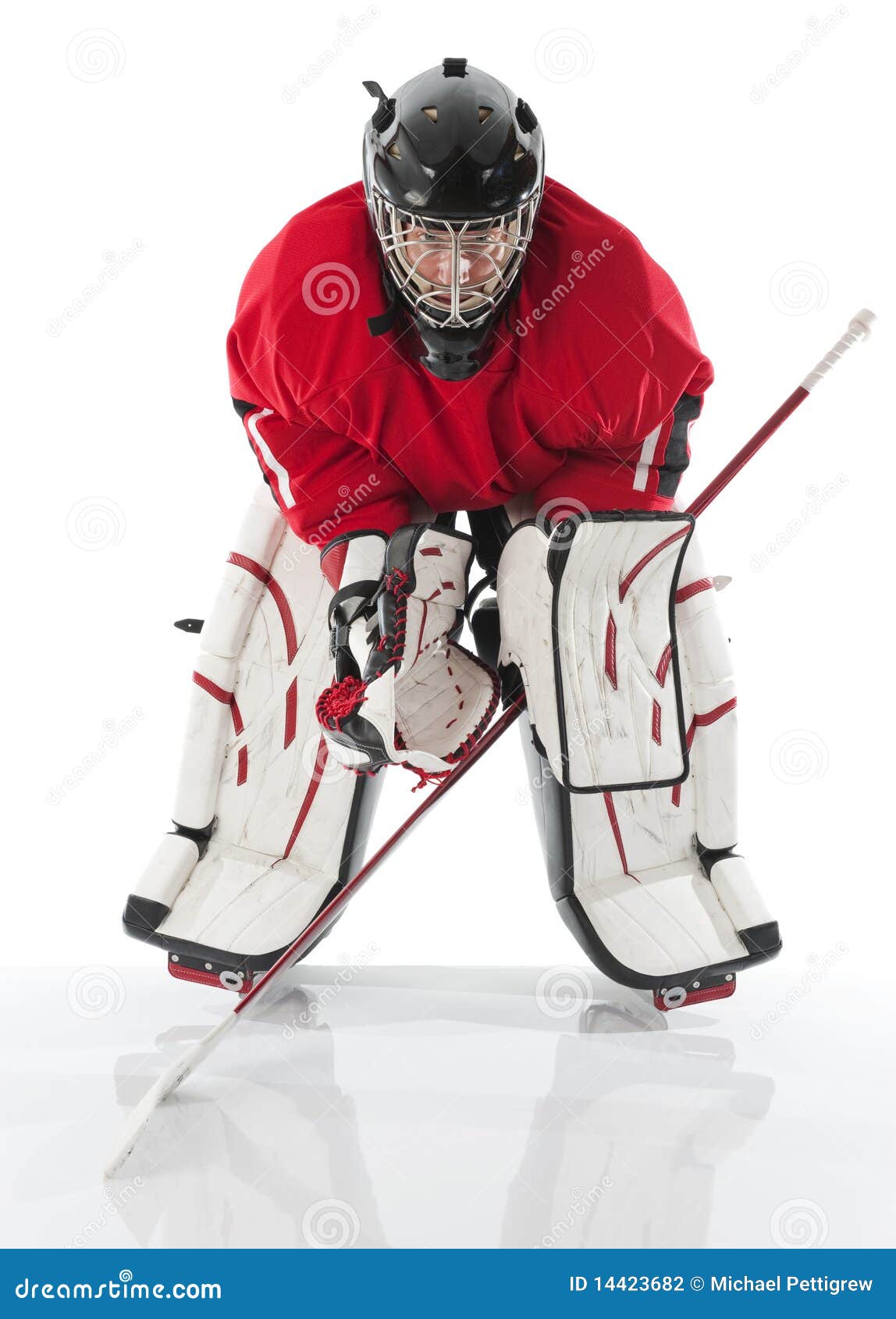 Ice hockey goalie stock photo. Image of background, goal - 14423682