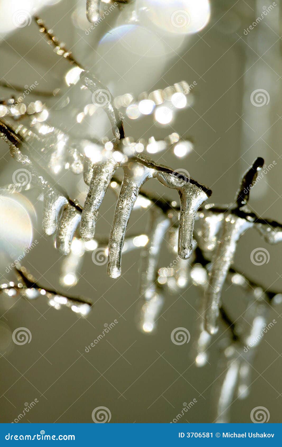Ice icicles stock image. Image of beauty, nature, slippery - 3706581