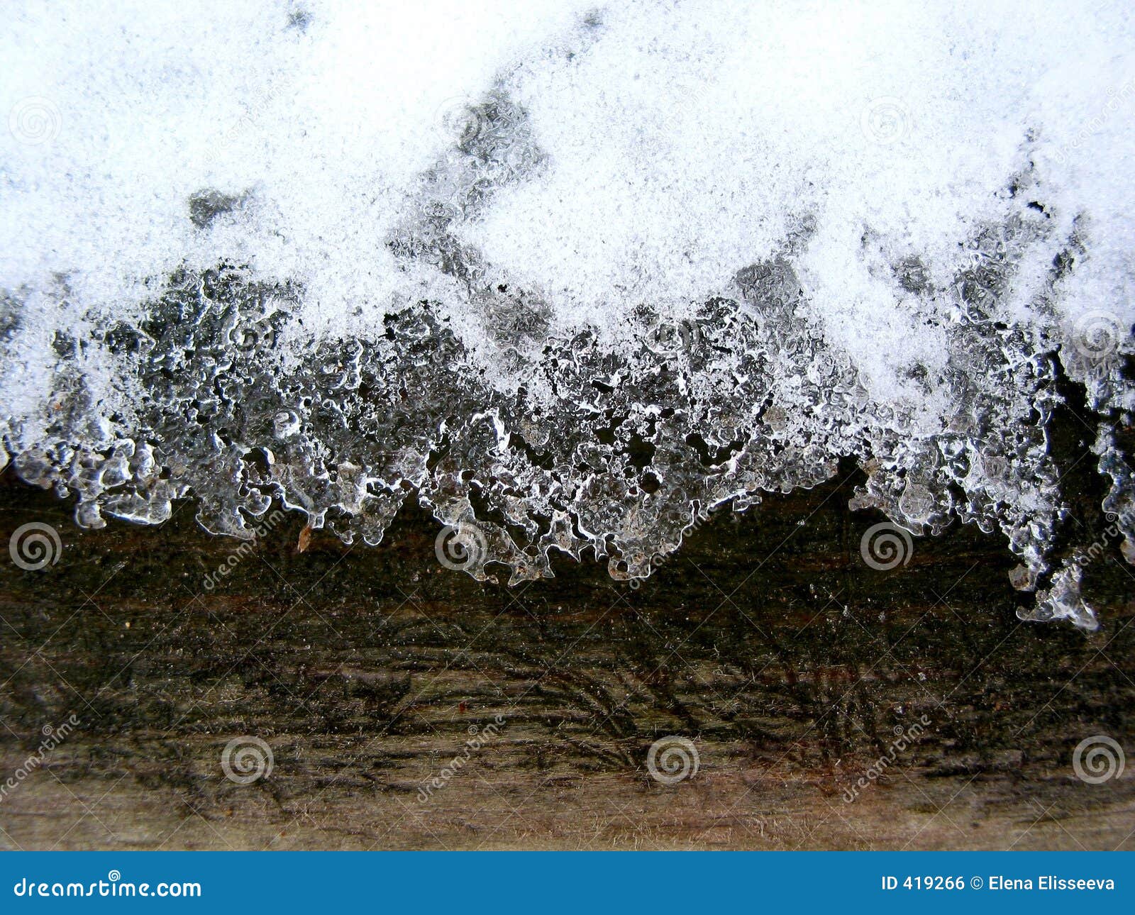 Ice lace 1 stock photo. Image of crystals, season, december - 419266