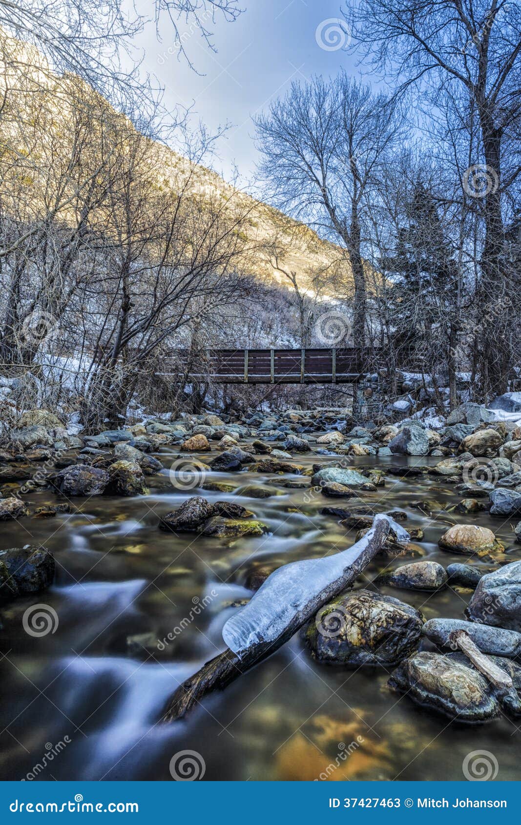 Ice on the Log stock image. Image of forest, nature, national - 37427463