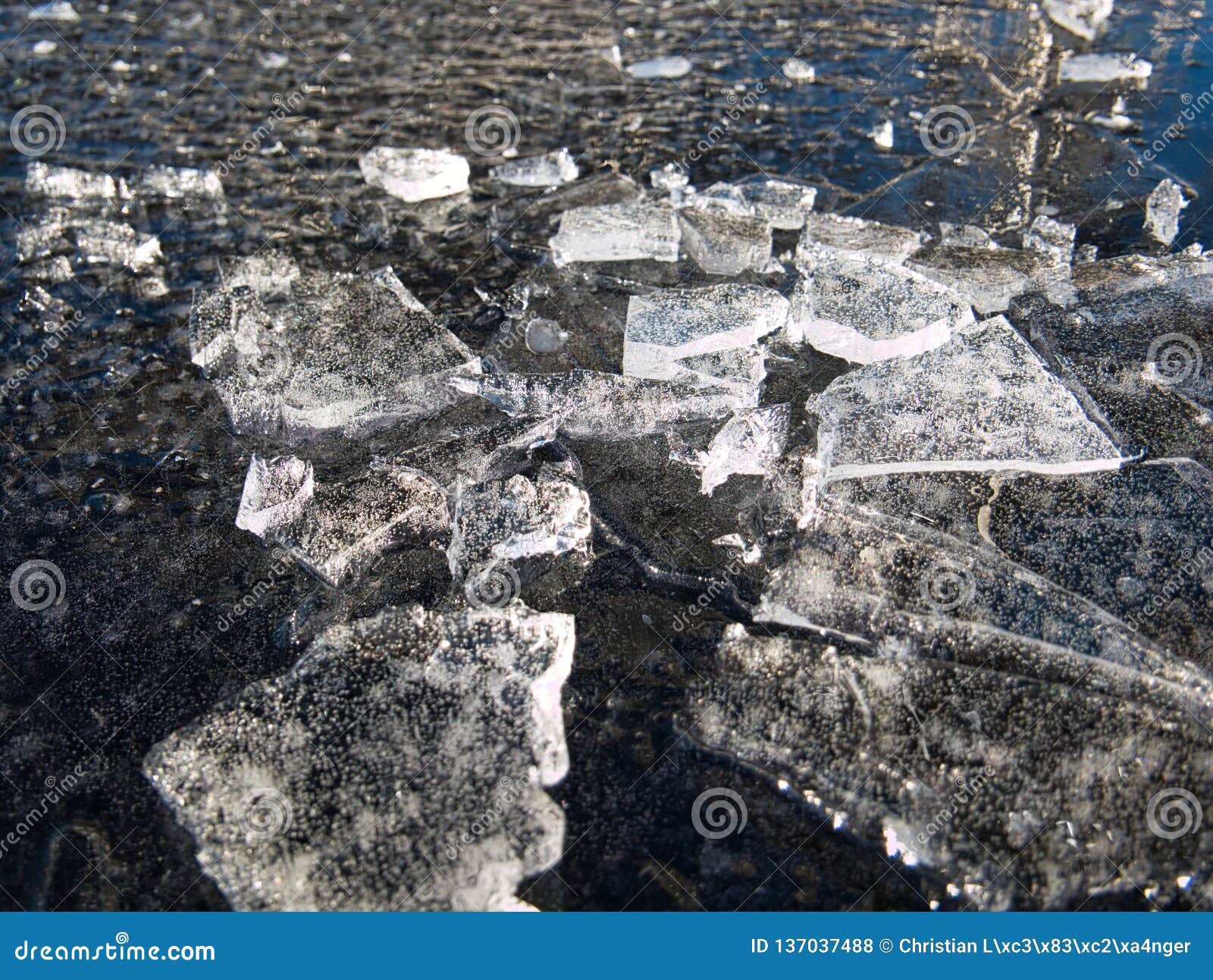 Ice Lumps on a Frozen Water Surface Stock Photo - Image of pieces ...