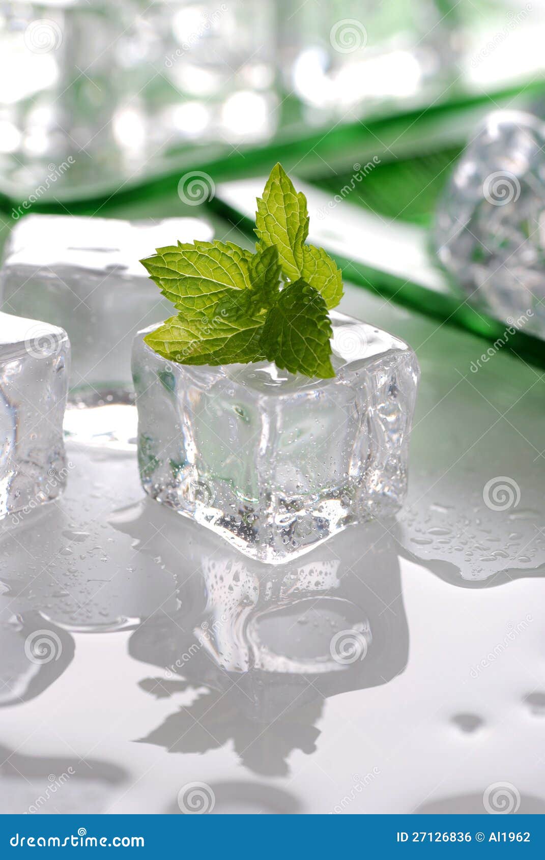 Ice and mint stock photo. Image of glass, frost, cube - 27126836