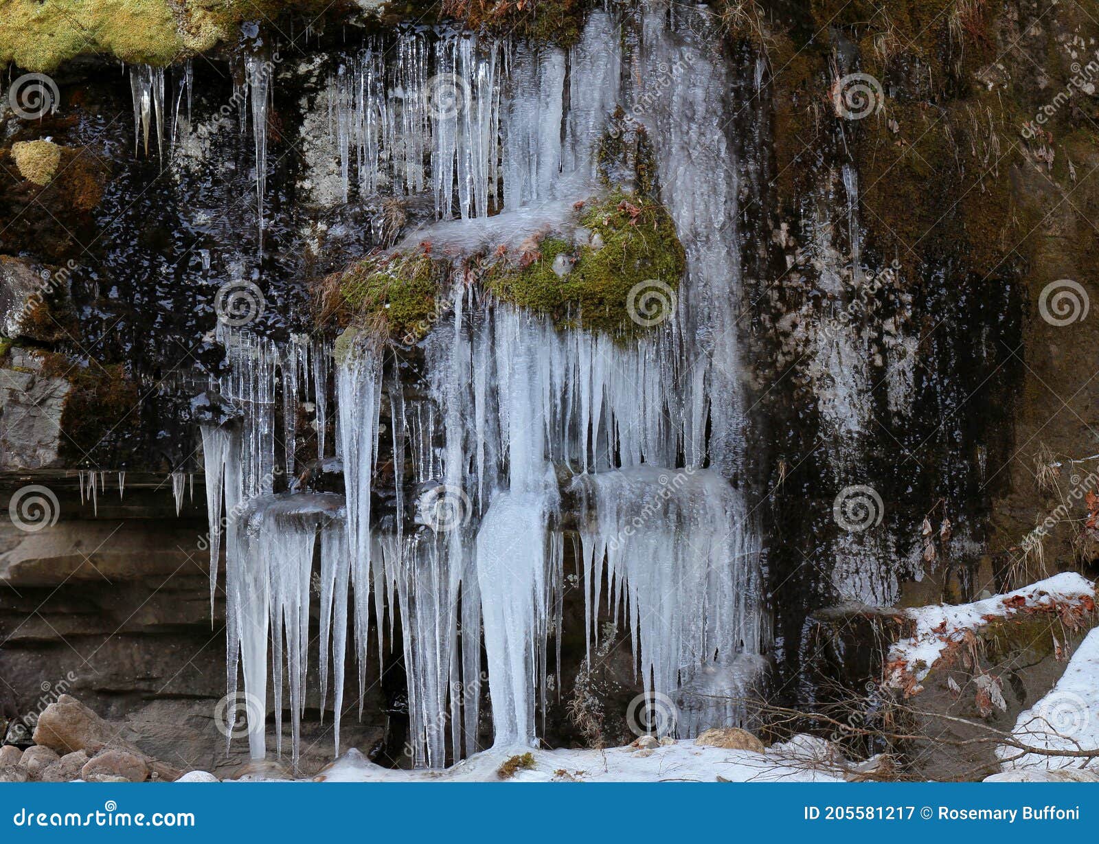 Ice and Moss on a Forest Wall Stock Image - Image of frost, green ...
