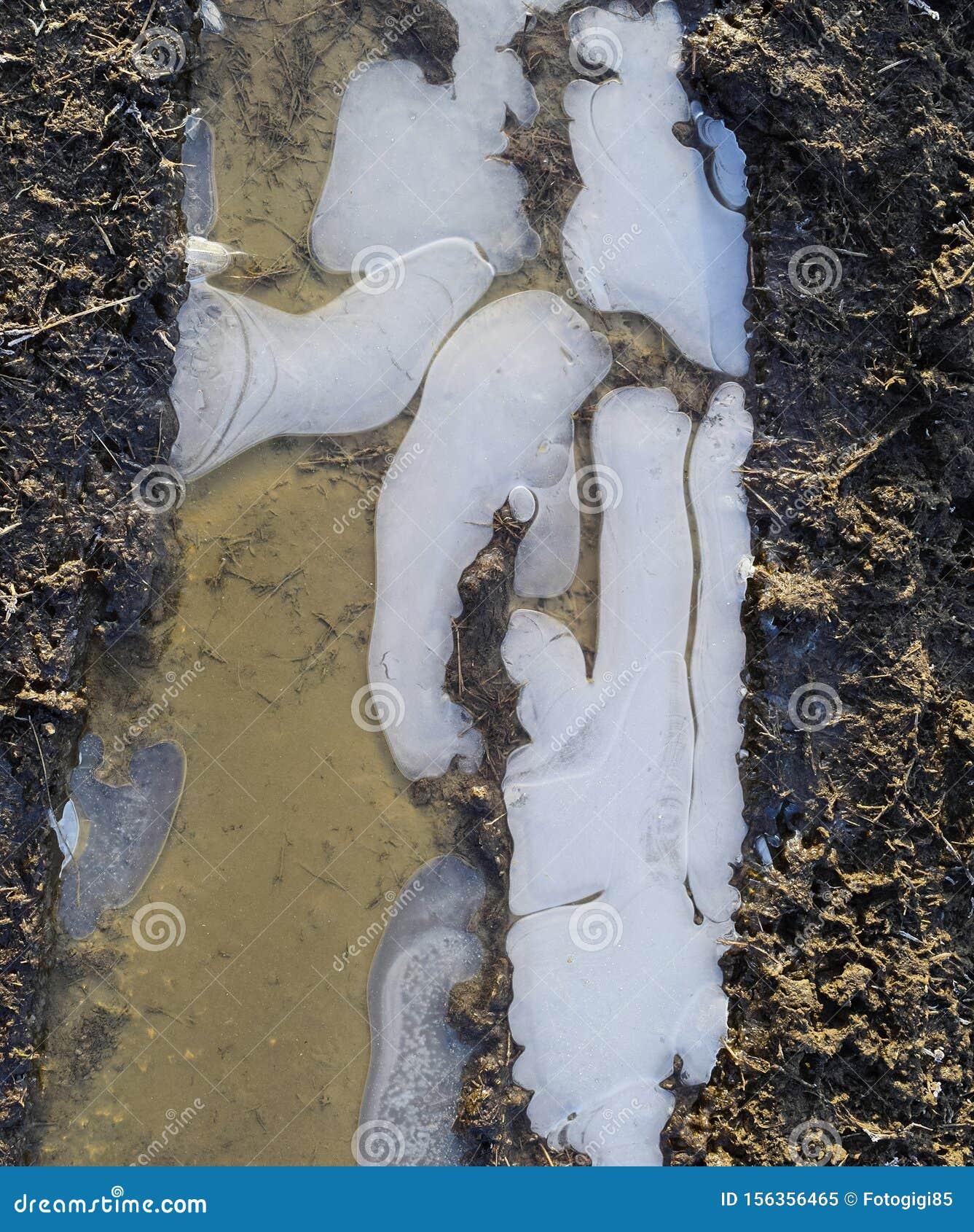 Ice on a Muddy Puddle on a Dirt Stock Image - Image of rural ...