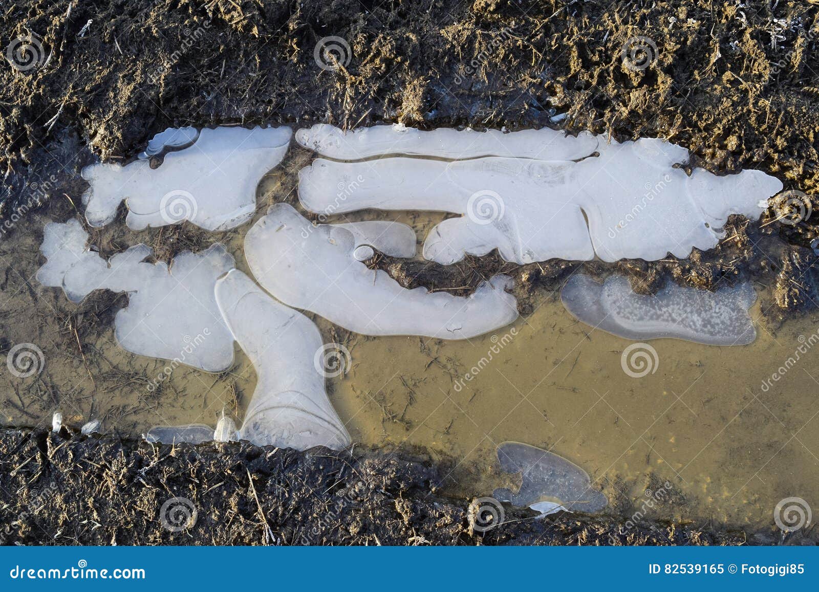 Ice on a Muddy Puddle on a Dirt Road Stock Image - Image of frozen ...