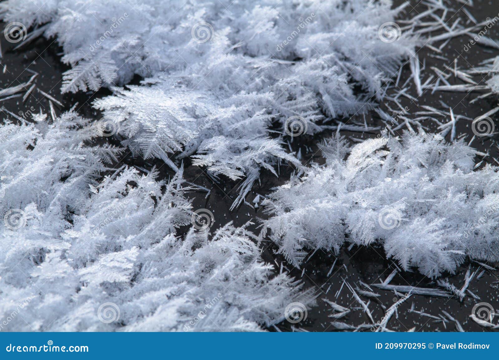 Ice Needles Grew on the Dark Ice Stock Image - Image of natural, nature ...