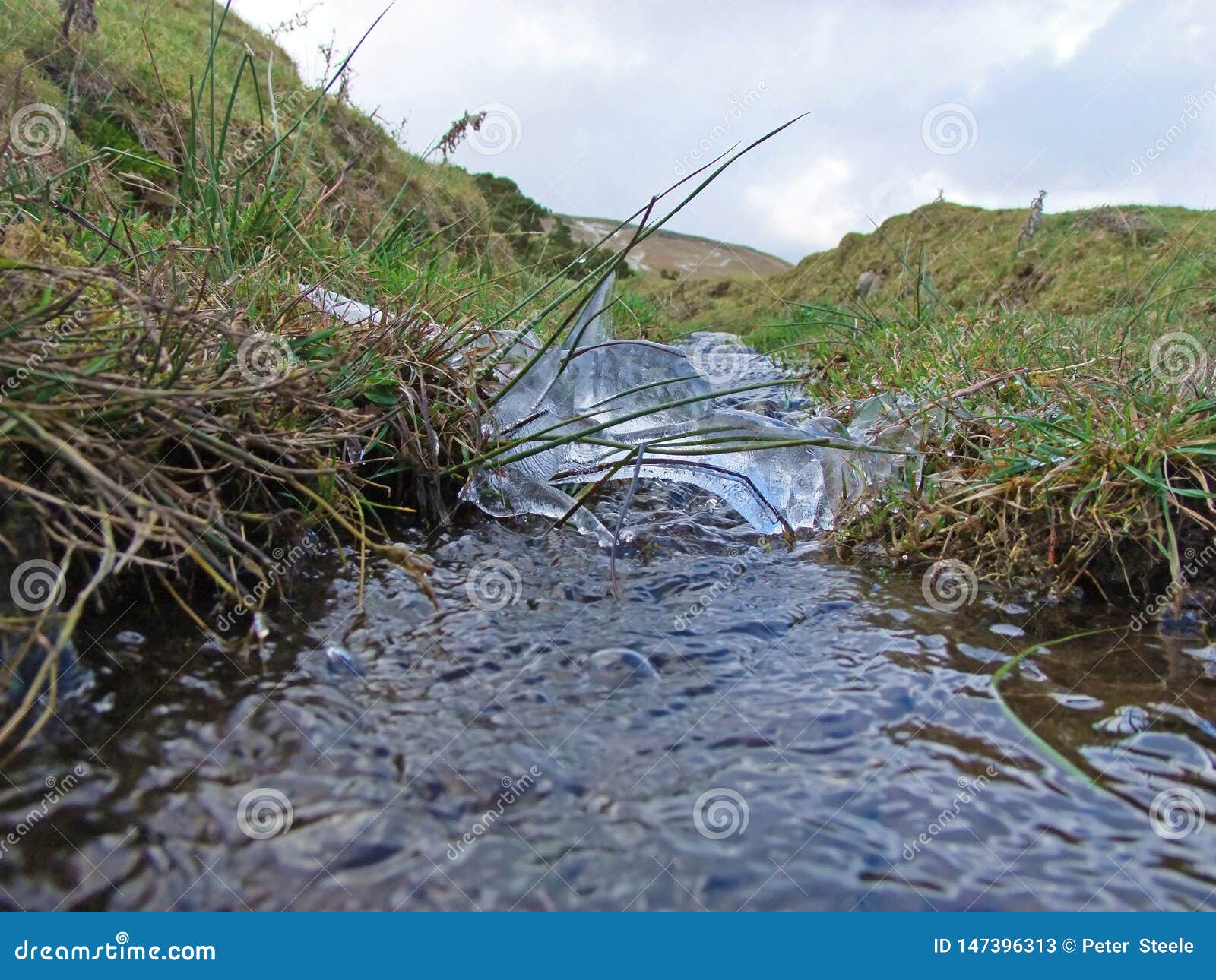 Ice Over Stream with Water Running Beneath with Grass and Rushes Stock ...