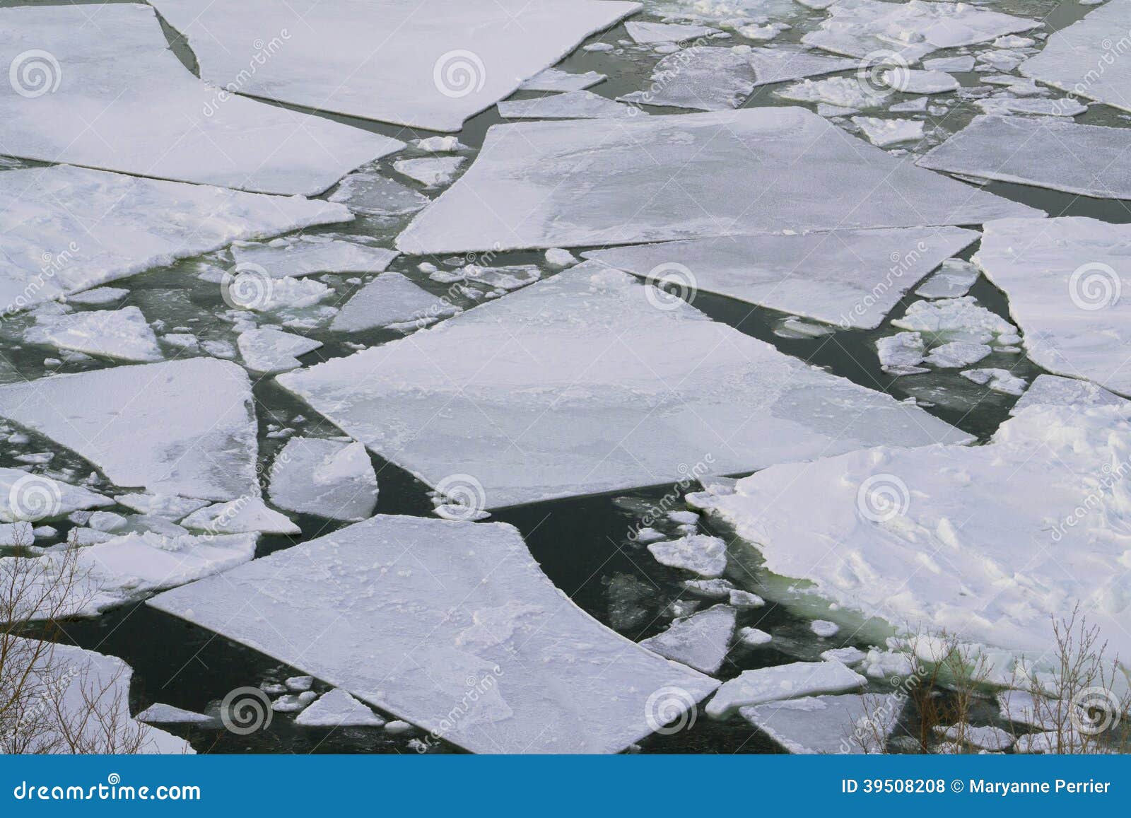 Ice Pans in the Bay stock photo. Image of beauty, ocean - 39508208