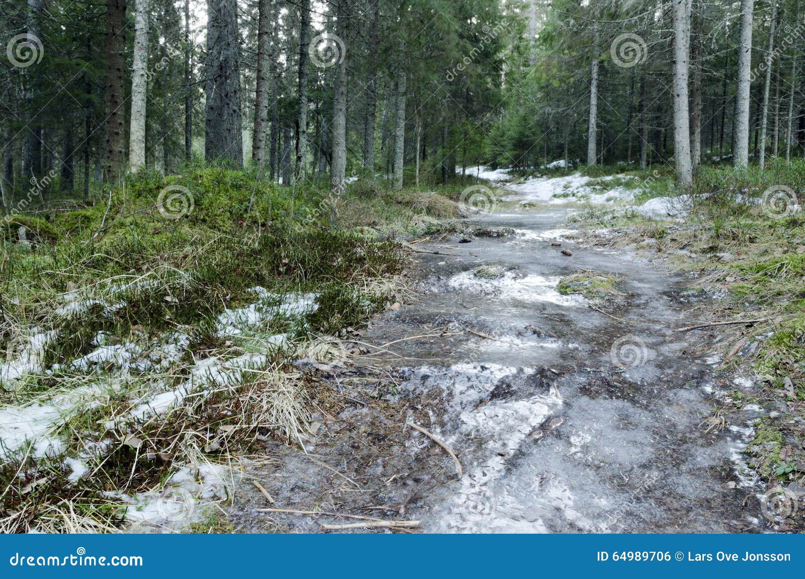 Ice path stock photo. Image of cold, snow, environment - 64989706