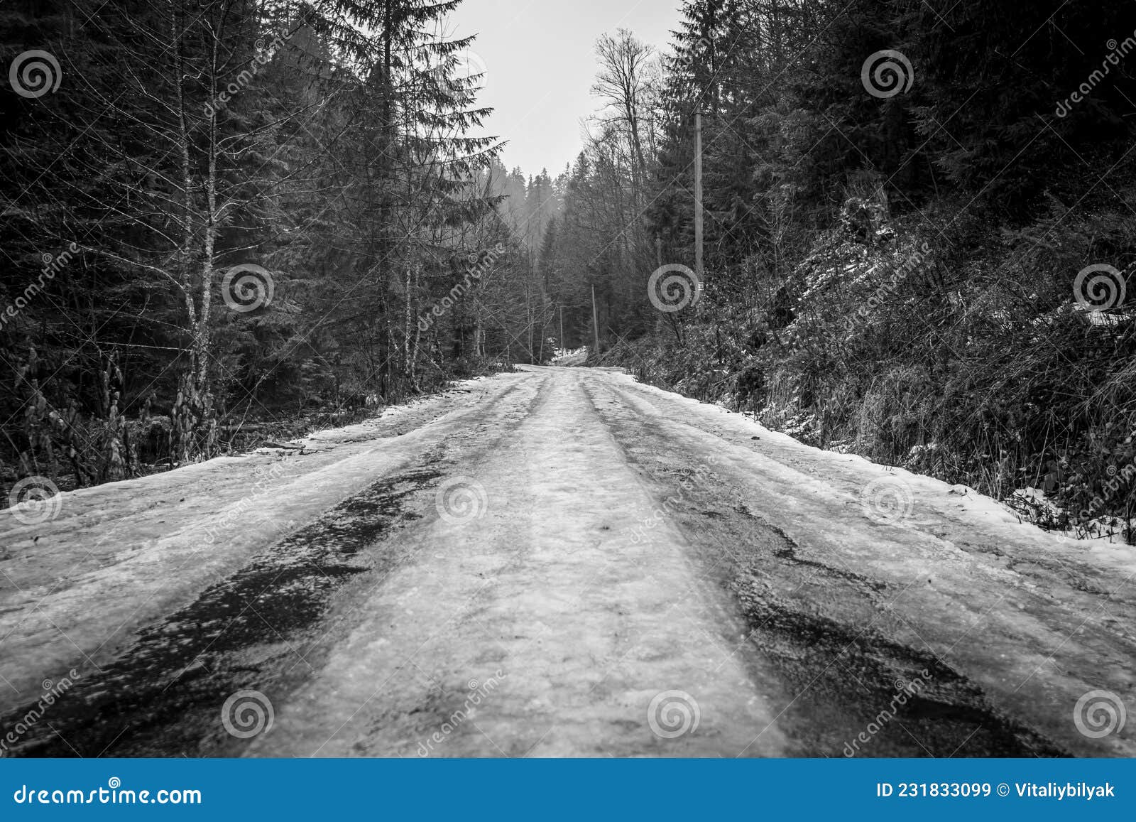 Ice path in the forest stock image. Image of white, blue - 231833099