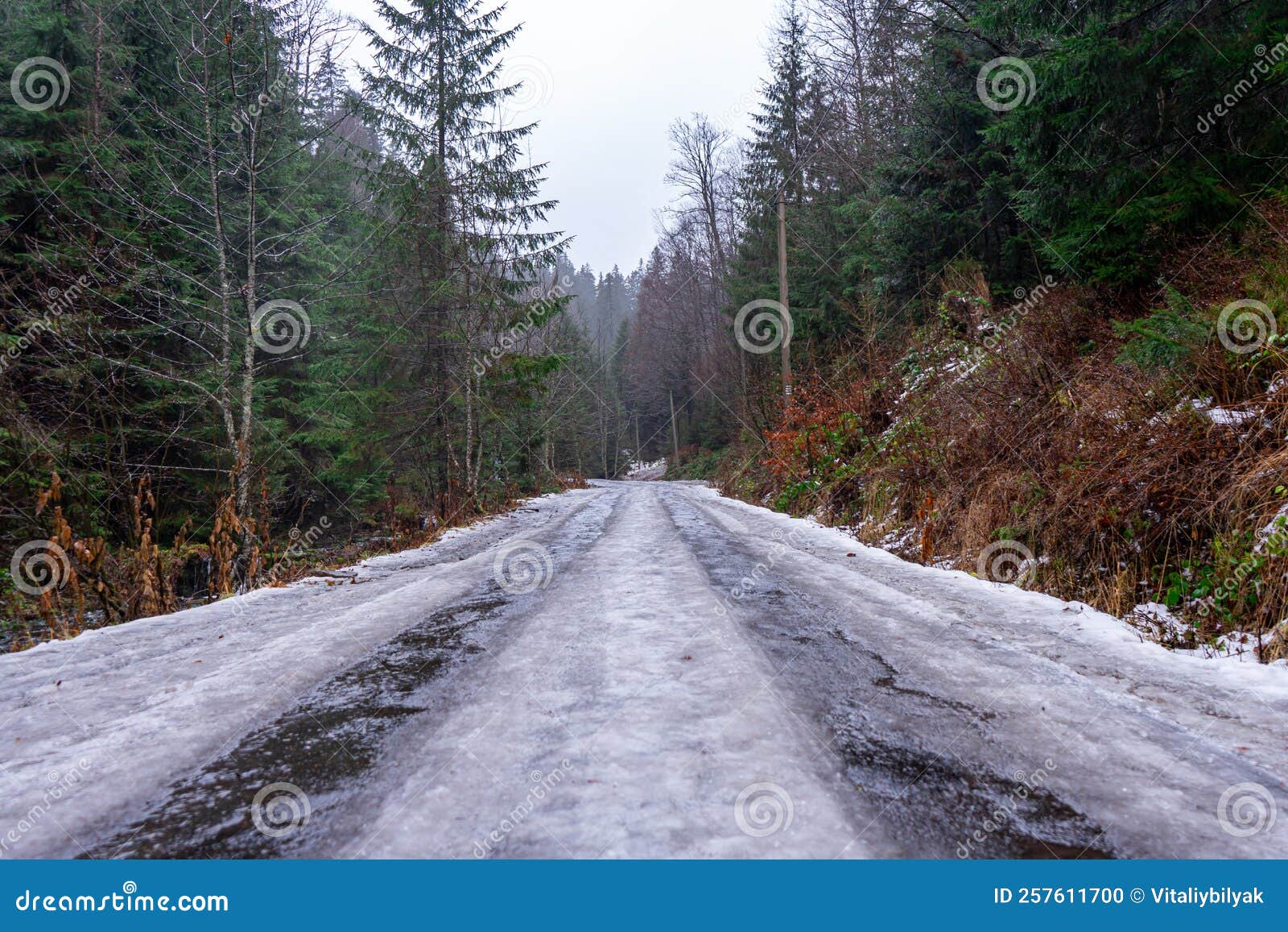 Ice path in the forest stock photo. Image of mountains - 257611700