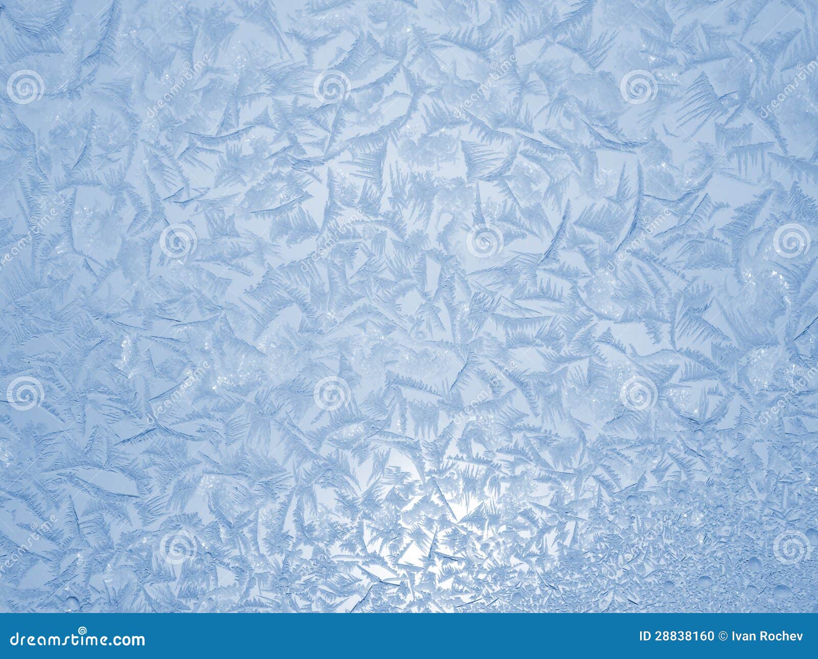 Ice pattern stock photo. Image of frozen, winter, feathers - 28838160