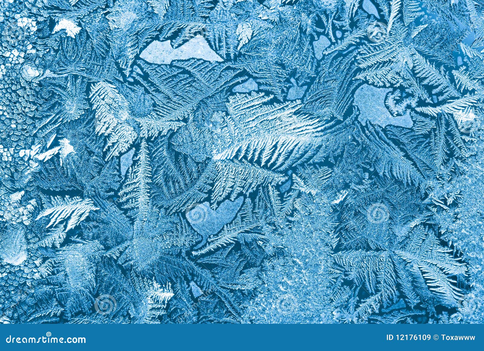 Ice patterns stock image. Image of backdrop, flowers - 12176109