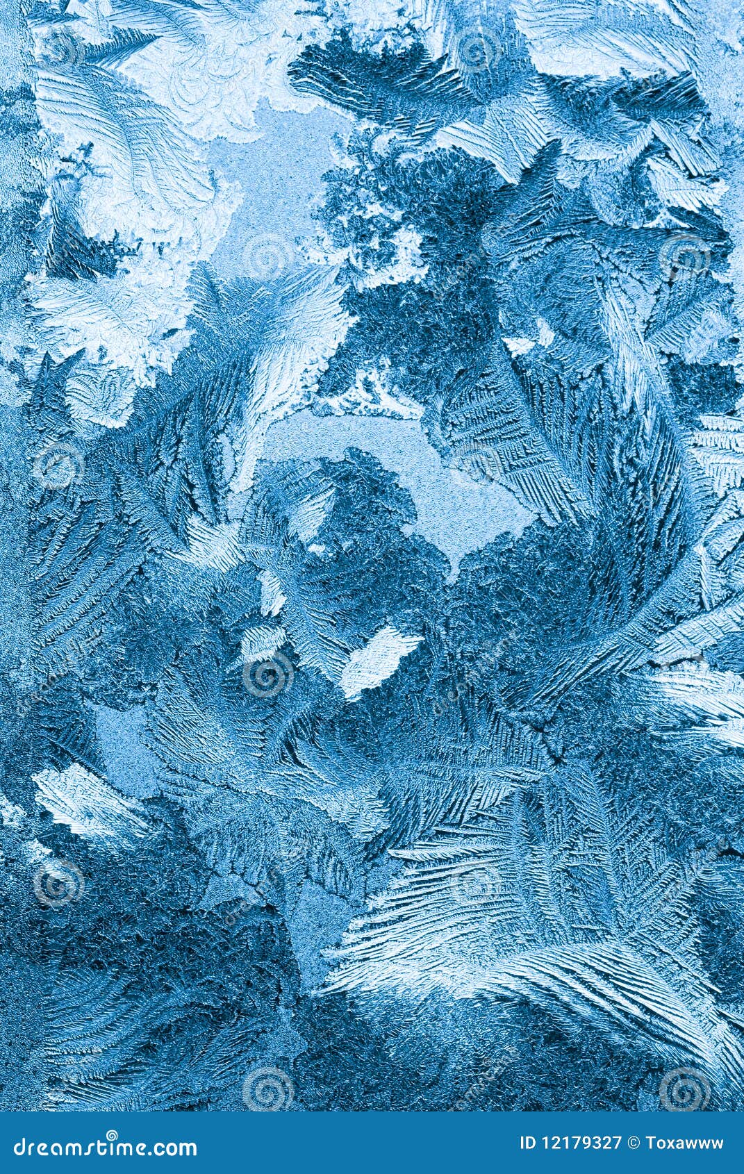 Ice patterns stock image. Image of flowers, nature, backdrop - 12179327