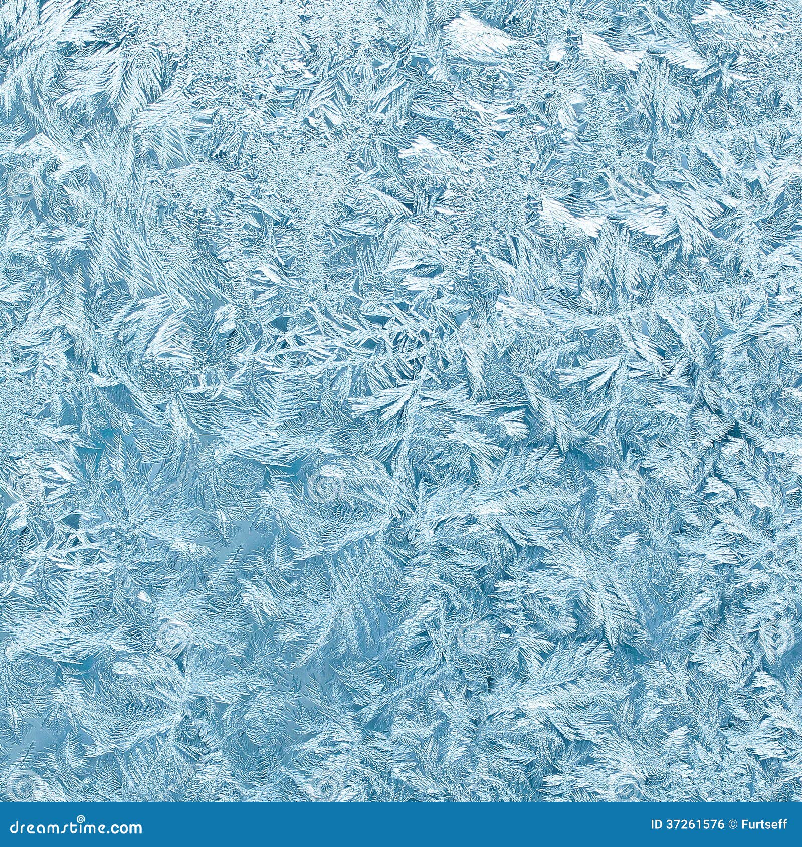 Ice patterns stock photo. Image of blizzard, cold, bright - 37261576