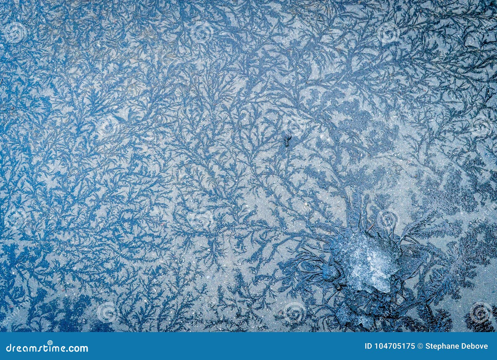 Ice patterns on the floor stock image. Image of abstract - 104705175