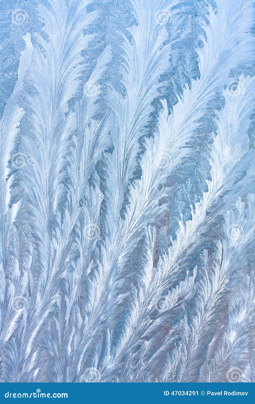 Ice patterns on the glass stock image. Image of crystallization - 47034291