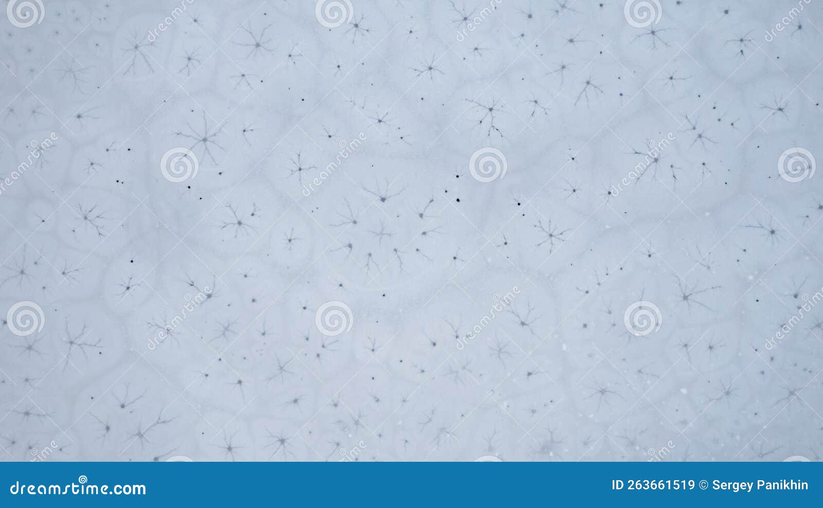 Ice Patterns on the Surface of a Freezing Lake Stock Image - Image of ...