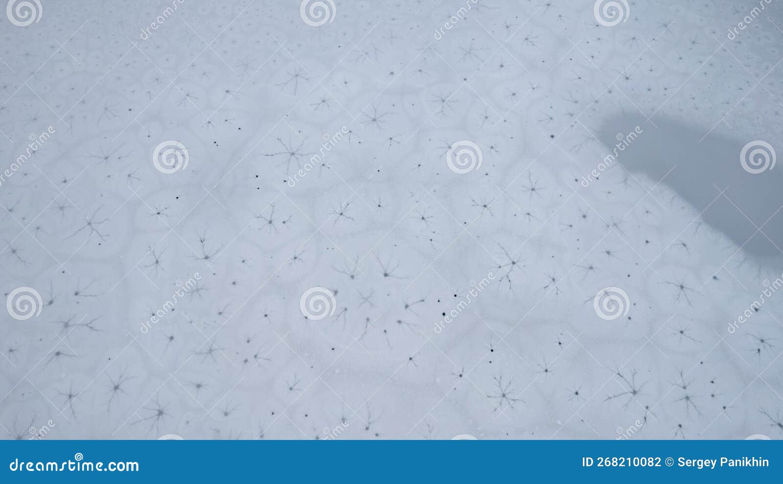 Ice Patterns on the Surface of a Freezing Lake Stock Photo - Image of ...