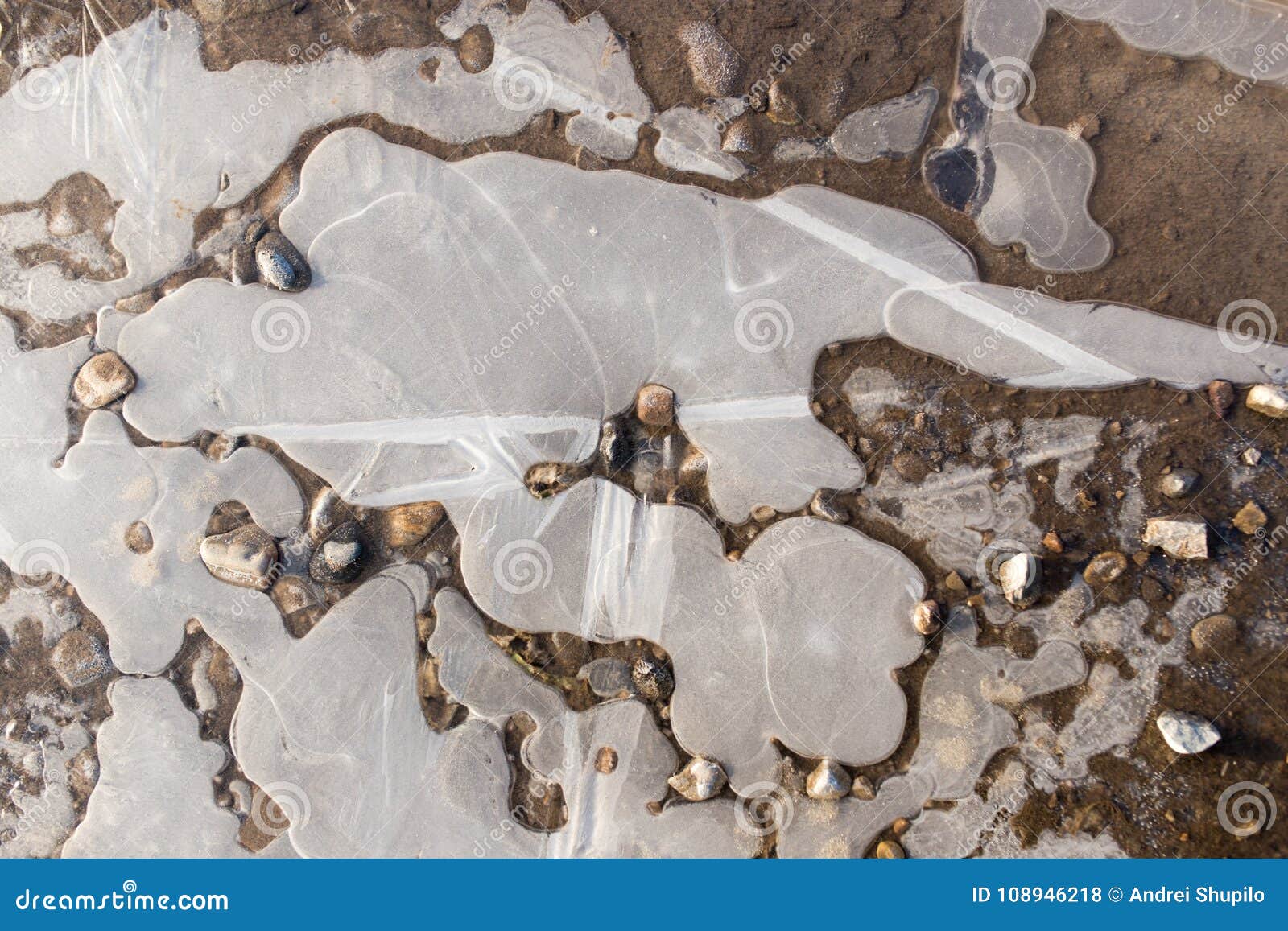 Ice in a Pool on the Nature Stock Photo - Image of freeze, craze: 108946218