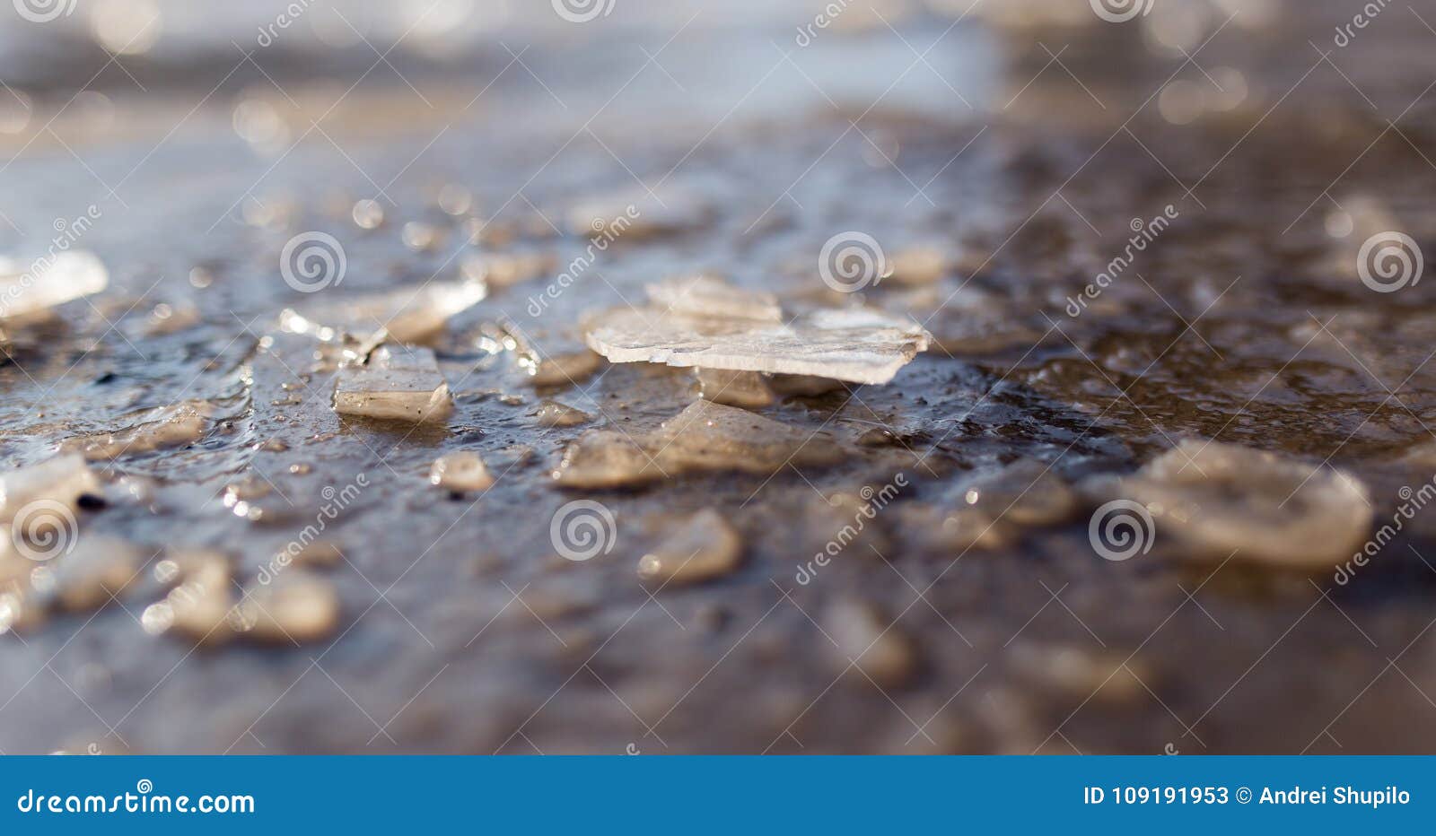 Ice in a Pool on the Nature Stock Image - Image of reservoir, glacial ...