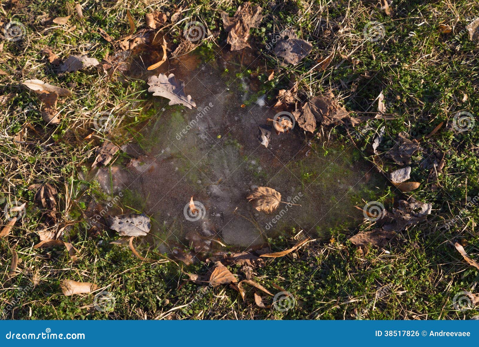 Ice on a puddle stock photo. Image of puddle, refraction - 38517826