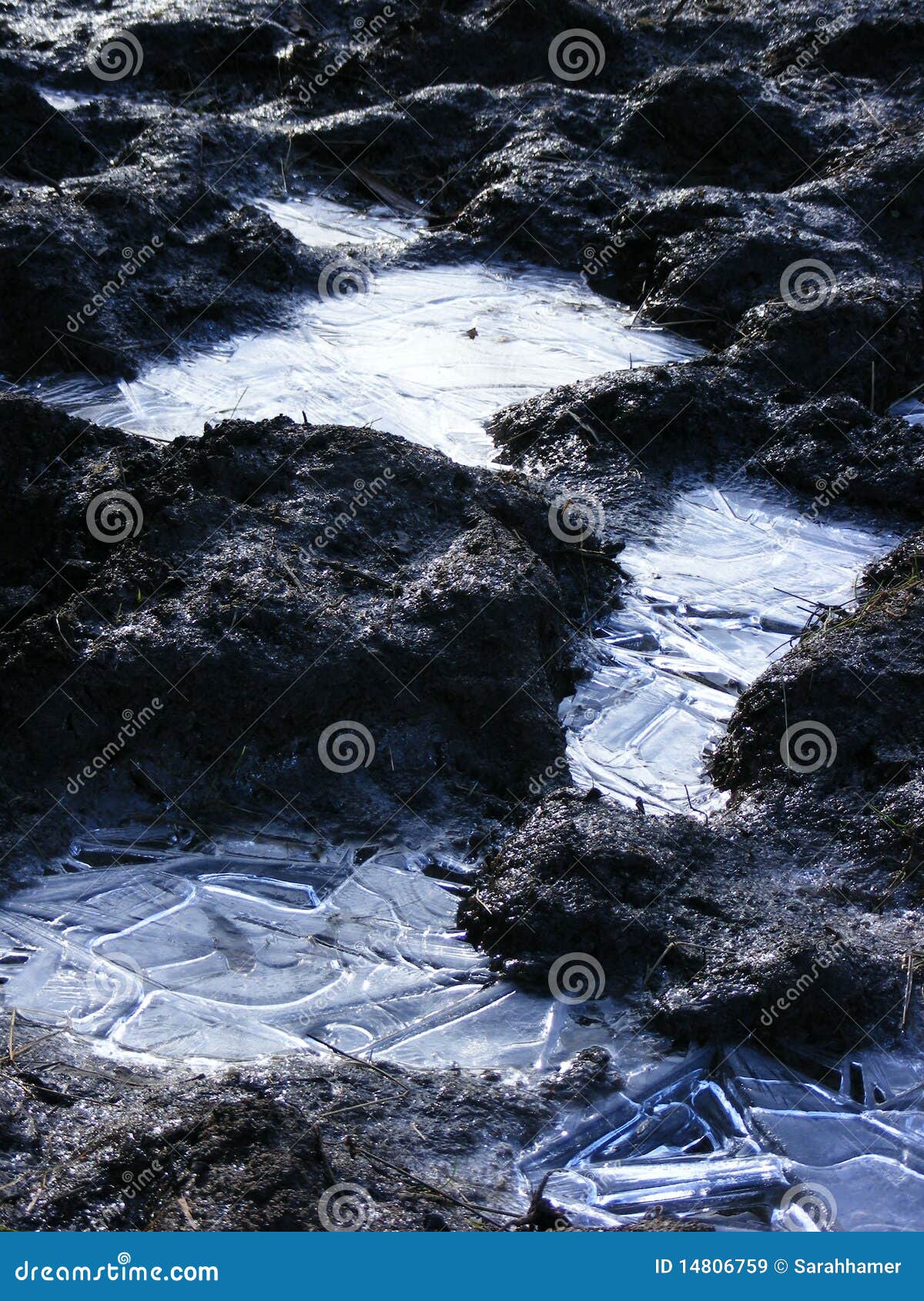 Ice Puddles stock image. Image of winter, frost, puddles - 14806759
