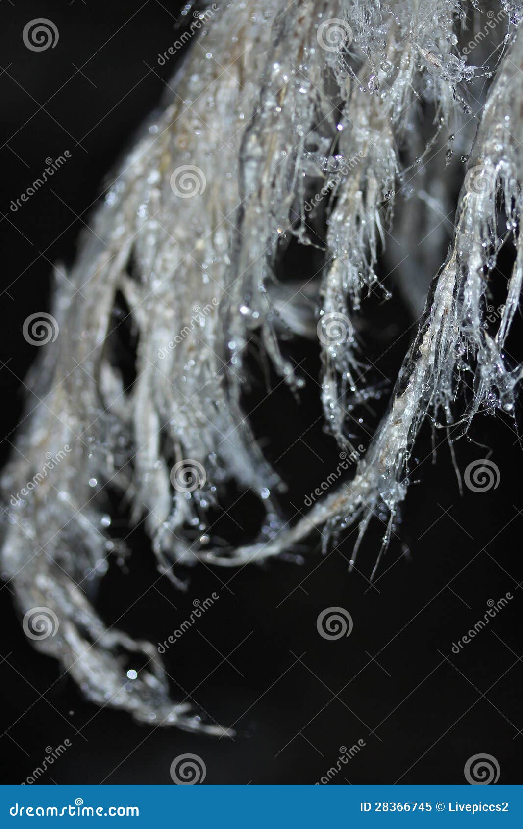 Ice rain stock image. Image of water, rain, drop, frozen - 28366745