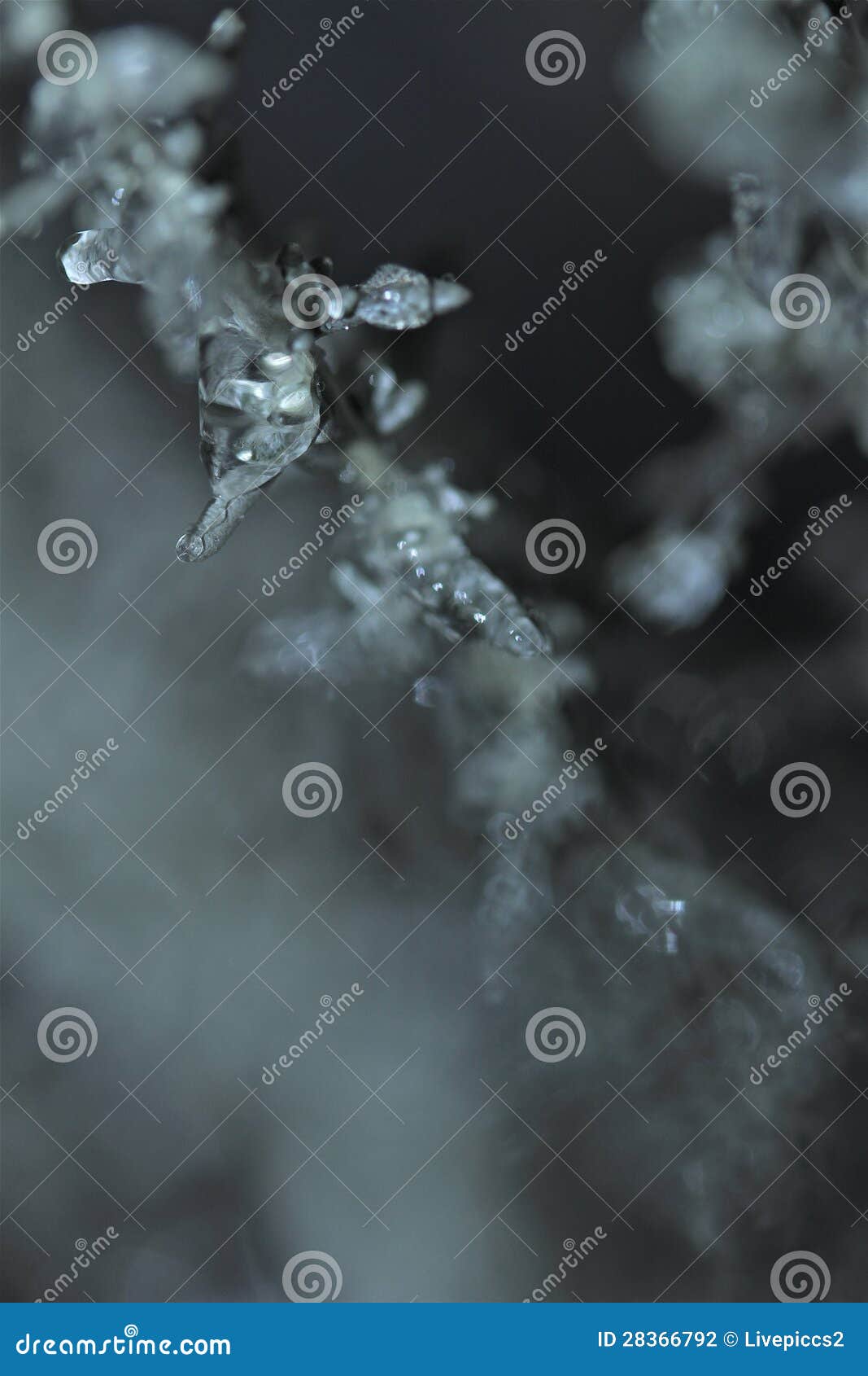 Ice rain stock photo. Image of rain, details, frozen - 28366792