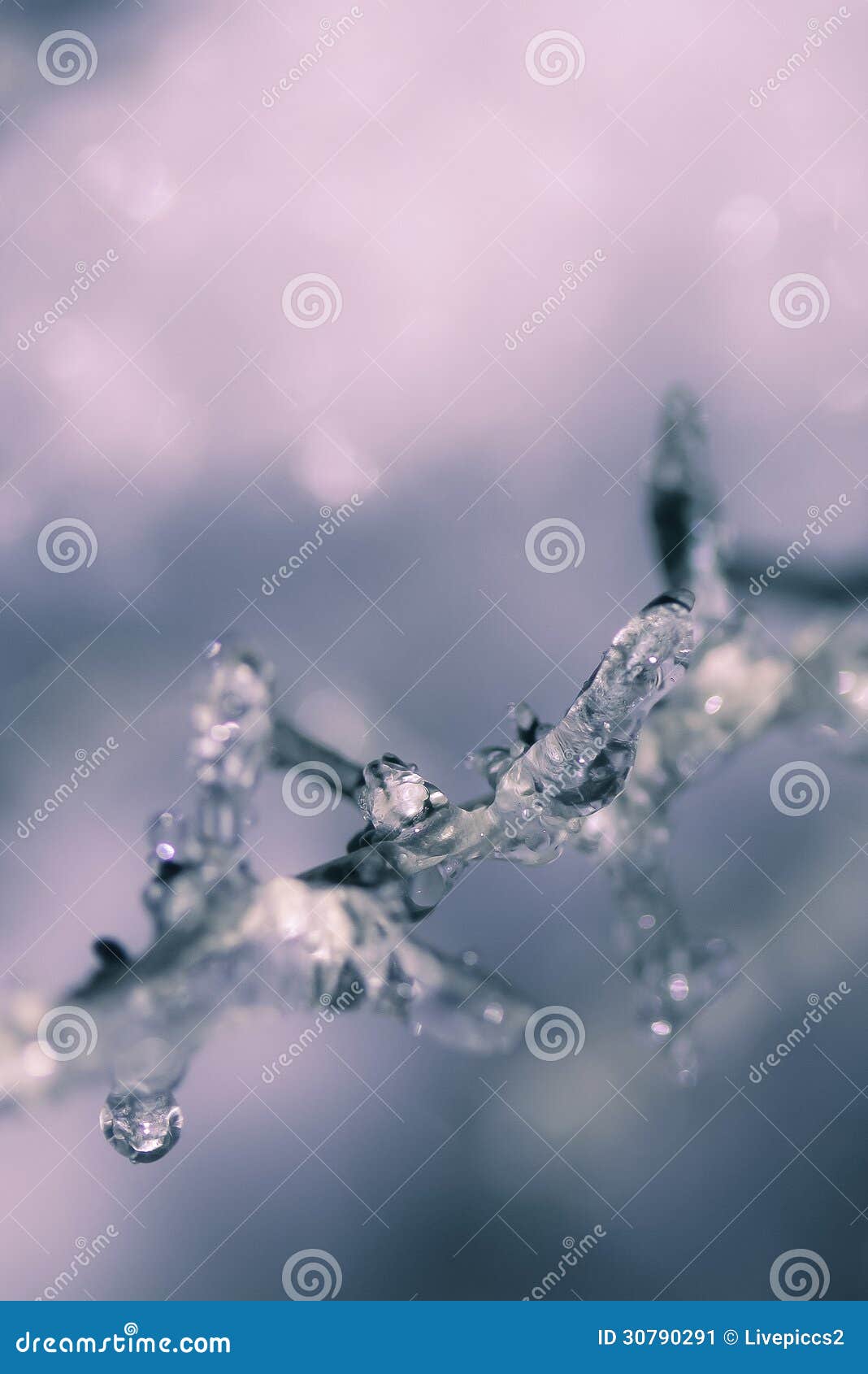 Ice rain stock image. Image of frozen, frost, layer, rain - 30790291