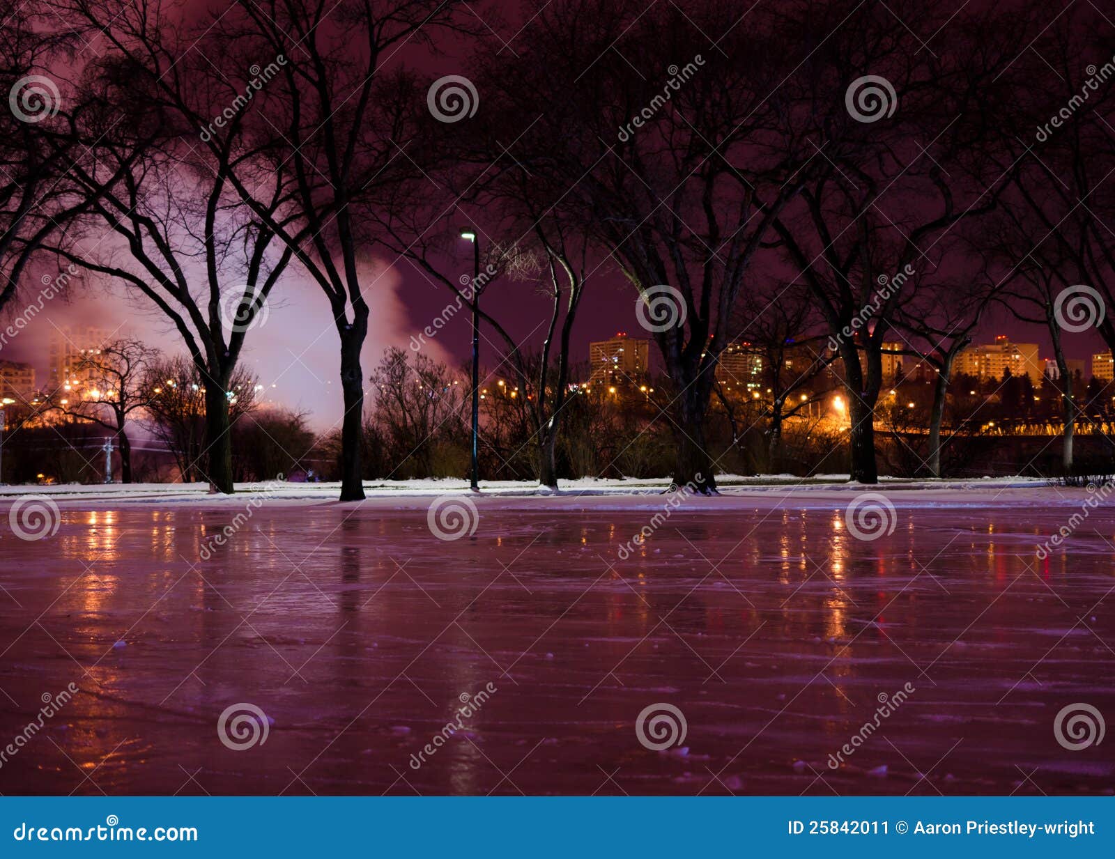 Ice Rink at Night stock image. Image of quality, sport - 25842011