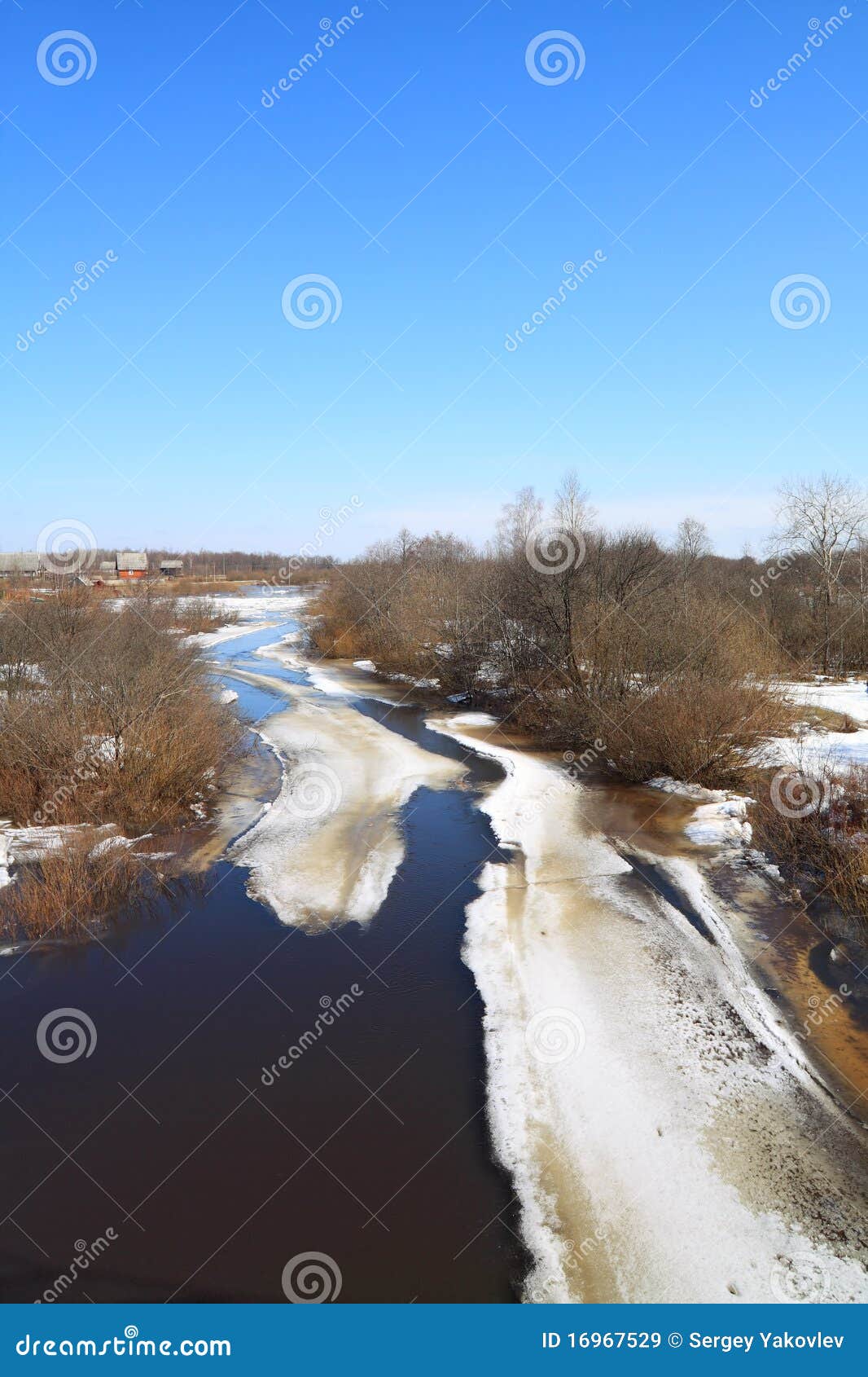 Ice on river stock image. Image of silence, nature, pine - 16967529