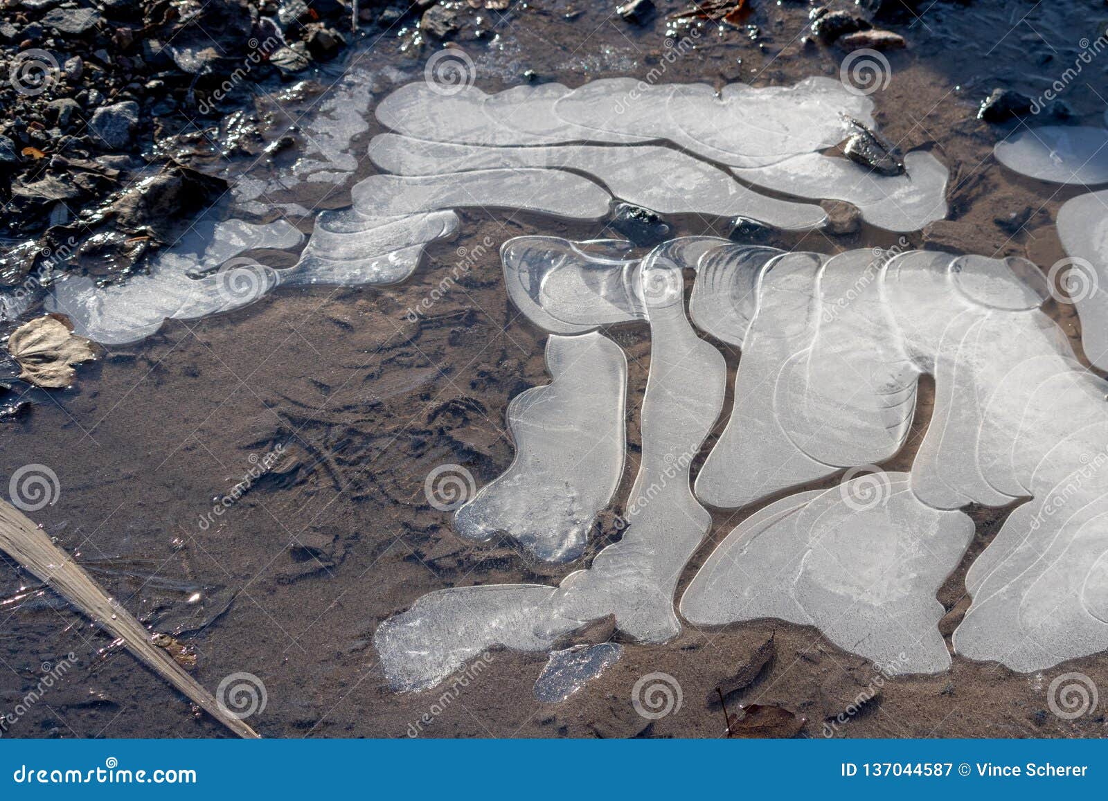 Ice on the Road in the Winter Stock Image - Image of footmarks, nature ...