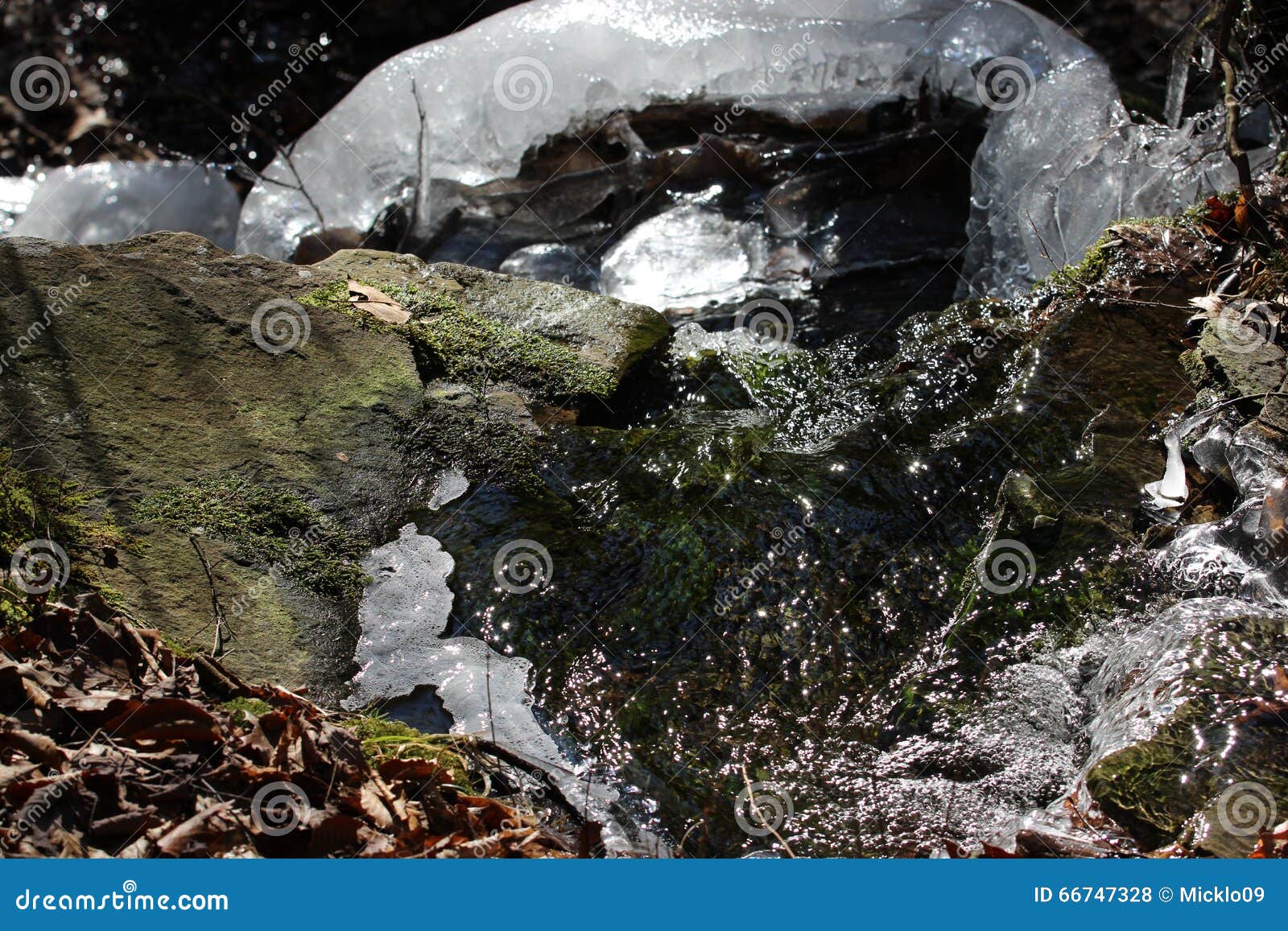 Ice on the rocks stock photo. Image of green, water, stone - 66747328
