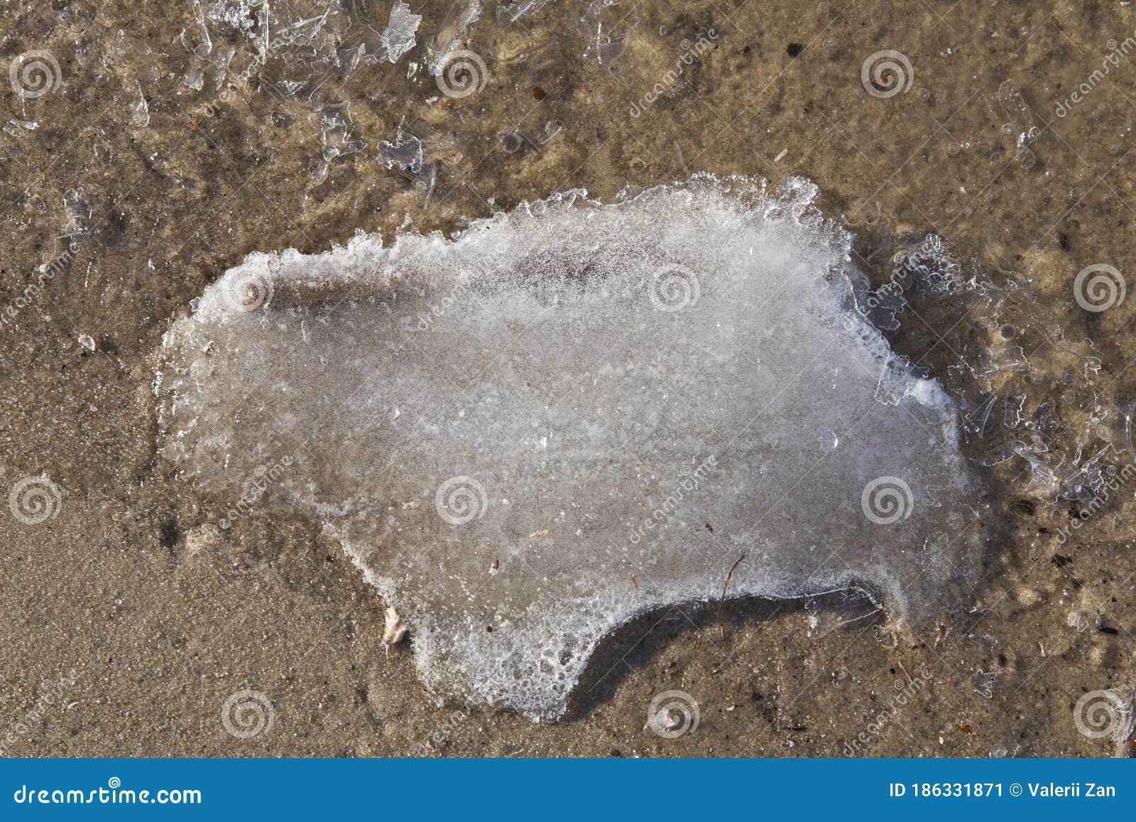 Ice in the sand stock image. Image of black, iceland - 186331871