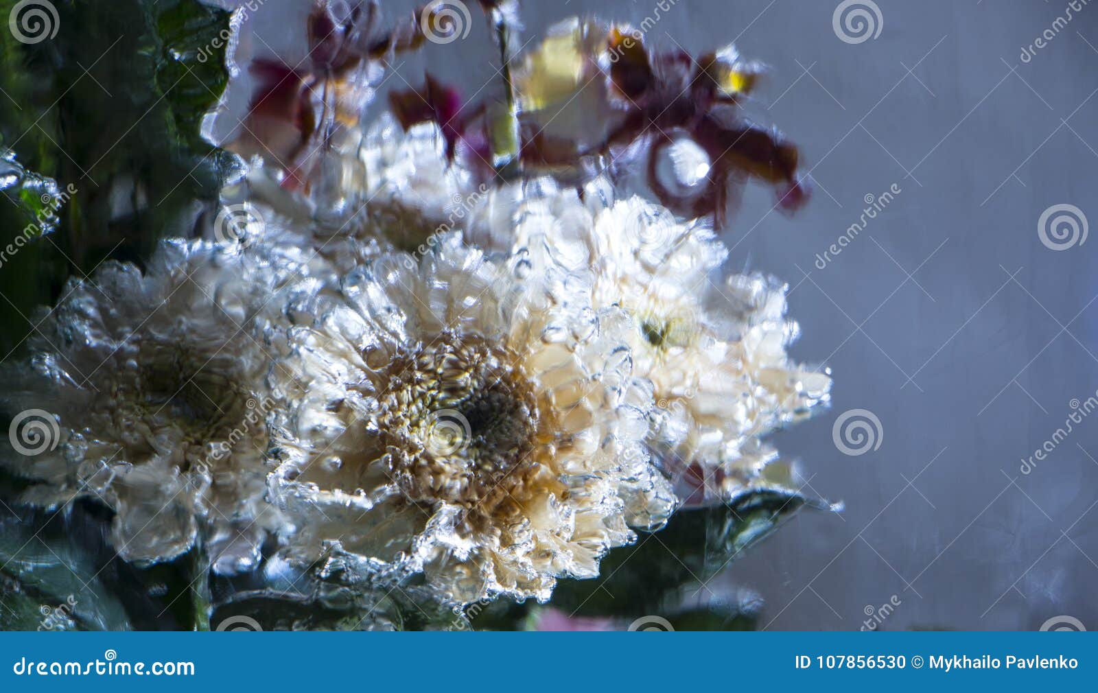 Ice Sculpture of Flowers in a Frozen Block of Ice Stock Photo - Image ...