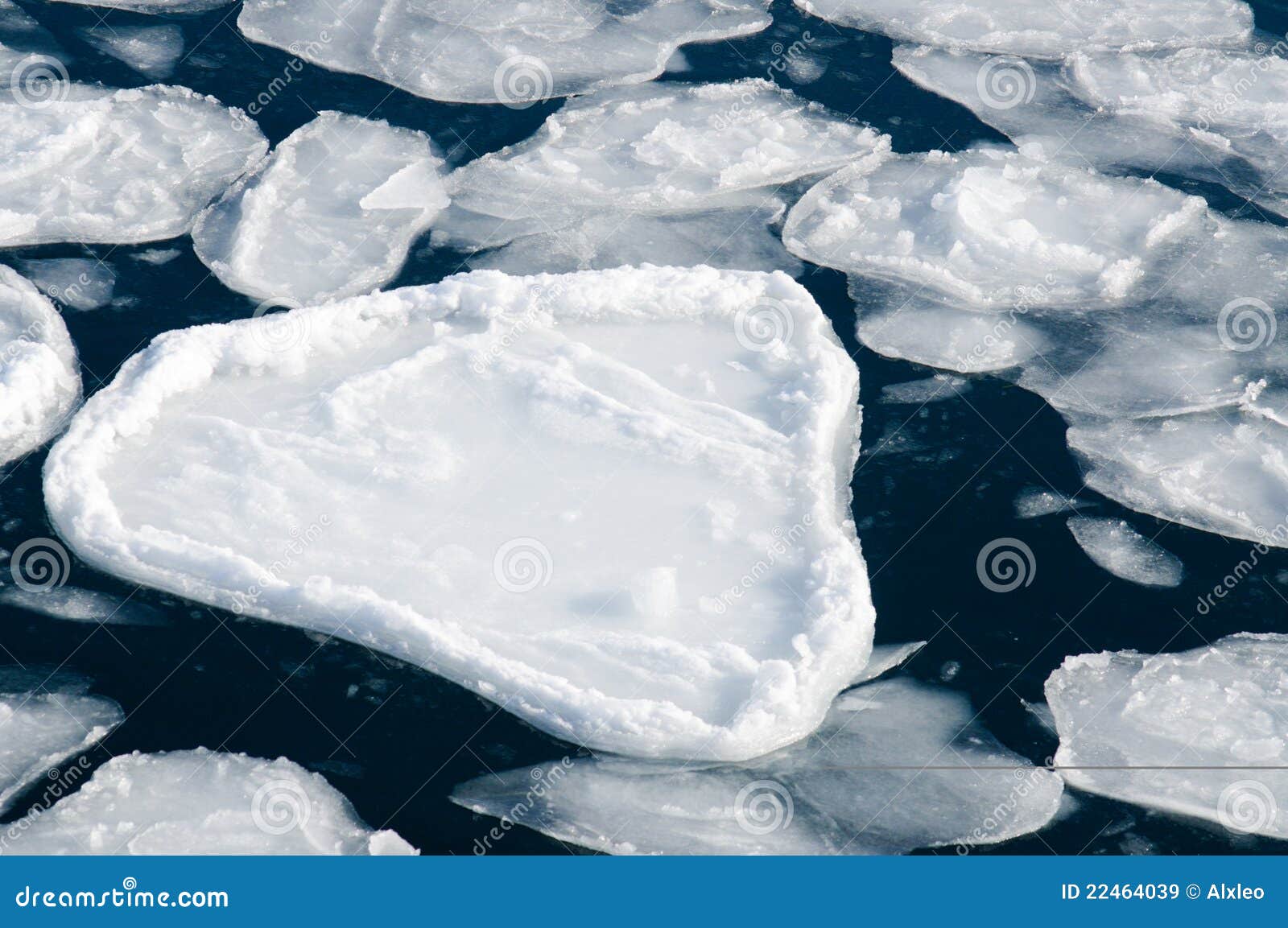 Ice into the sea stock image. Image of water, cold, white - 22464039