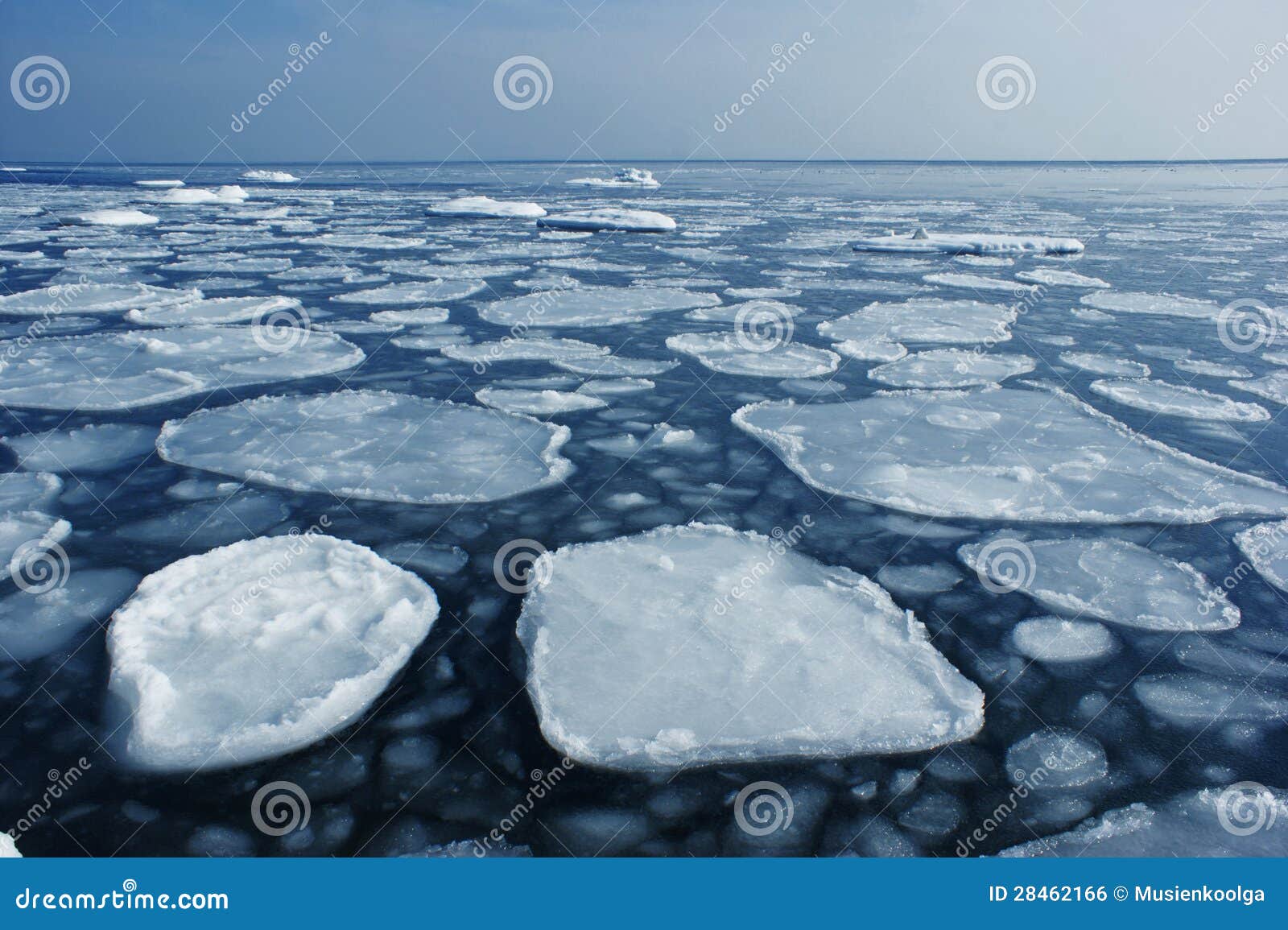 Ice on the Sea To the Horizon. Stock Photo - Image of horizon, ocean ...