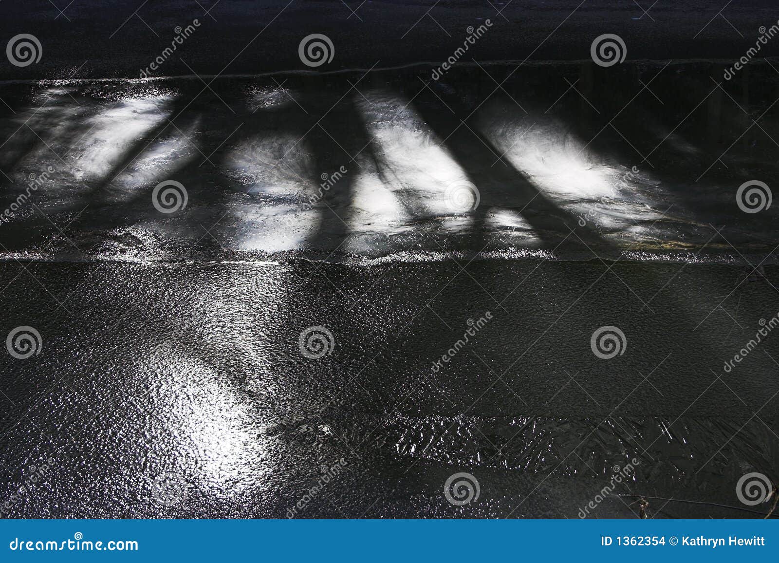 Ice shadow stock photo. Image of chilly, trees, bleak - 1362354