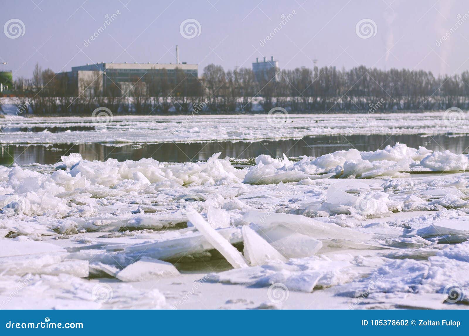 Ice Sheets Floating Down in Winter Stock Photo - Image of clime ...