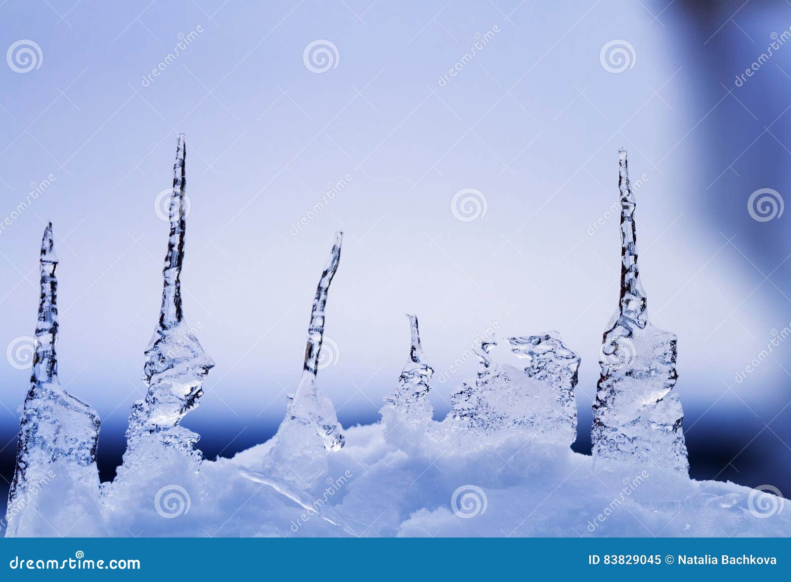 Ice Shimmering Icicles Sticking Out from the White Snow Stock Image ...
