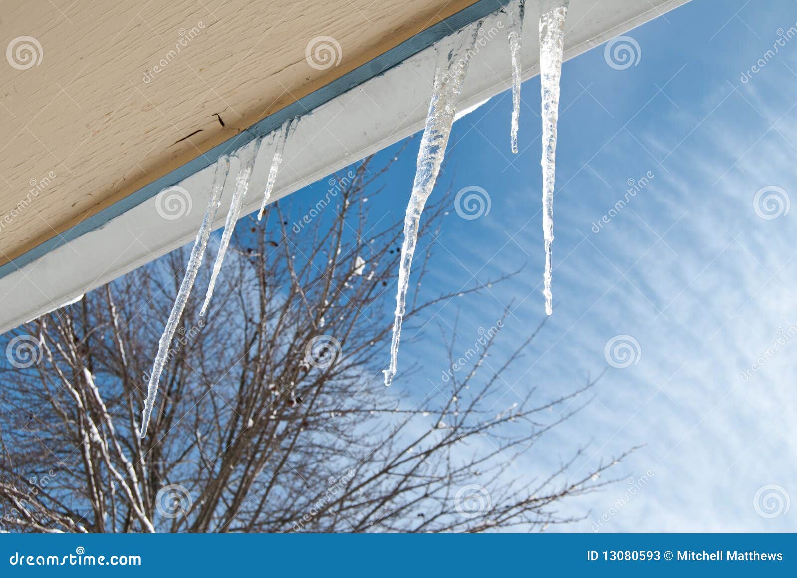 Ice Sickles stock image. Image of tree, paint, sickles - 13080593