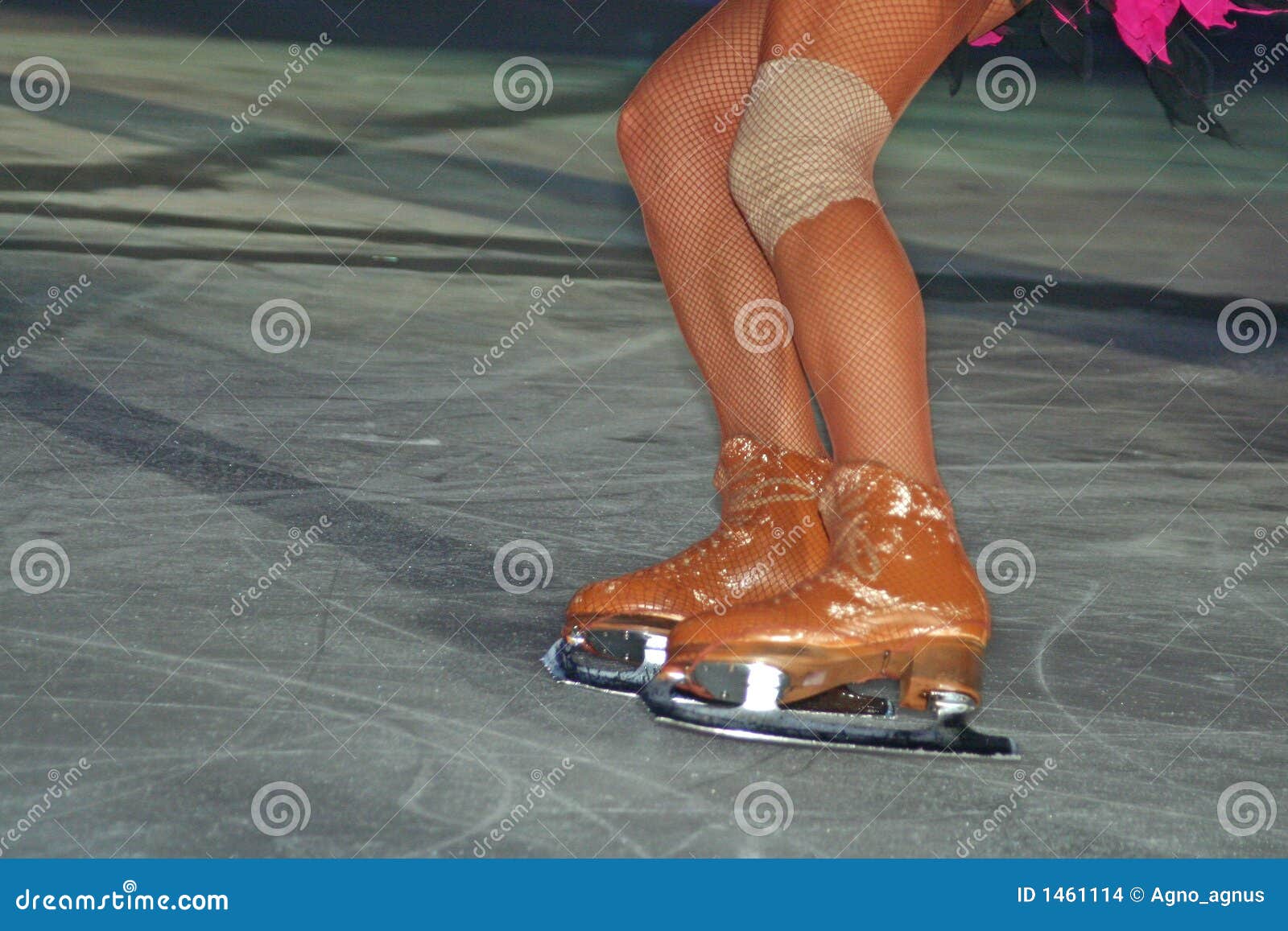 Ice skating stock photo. Image of winter, skates, shoes - 1461114