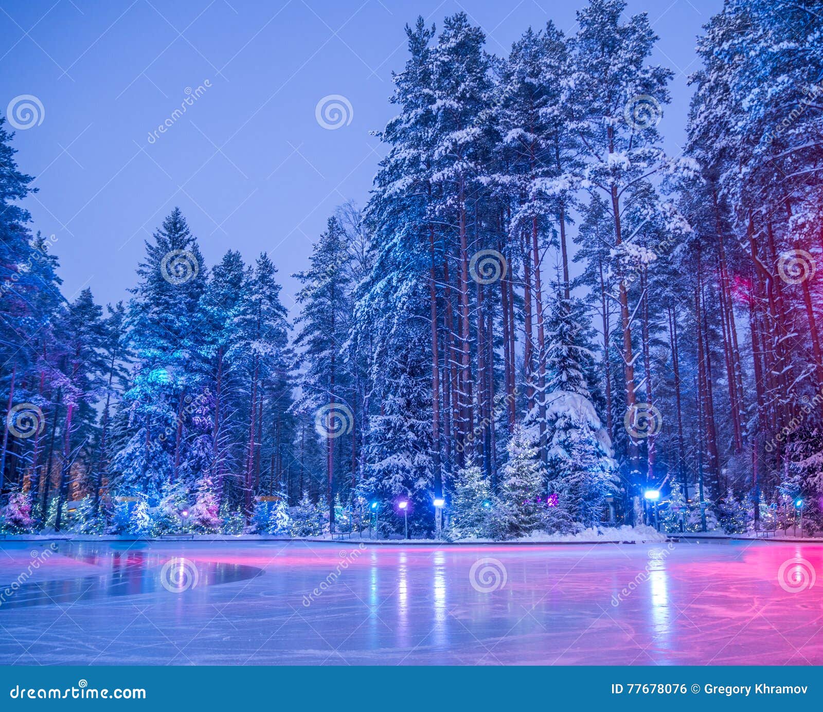 Ice Skating Rink in the Woods. Stock Photo - Image of year, rink: 77678076