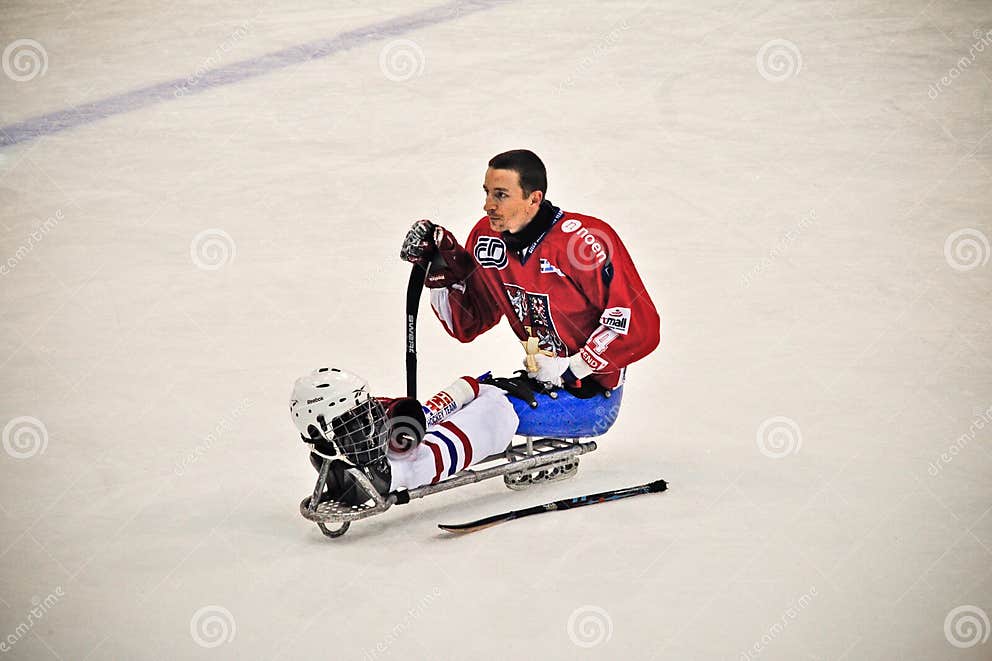Ice Sledge Hockey editorial stock image. Image of stick - 23630844