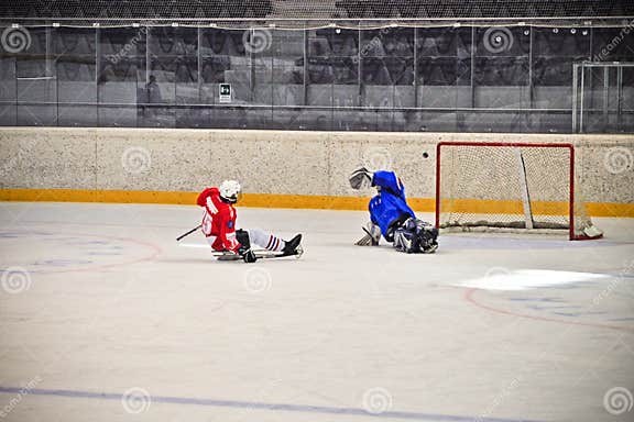 Ice Sledge Hockey editorial photo. Image of piemonte - 23631866